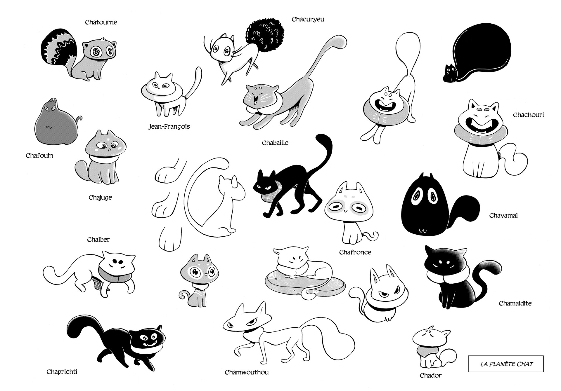 ArtStation - Cats - Creature design sheet