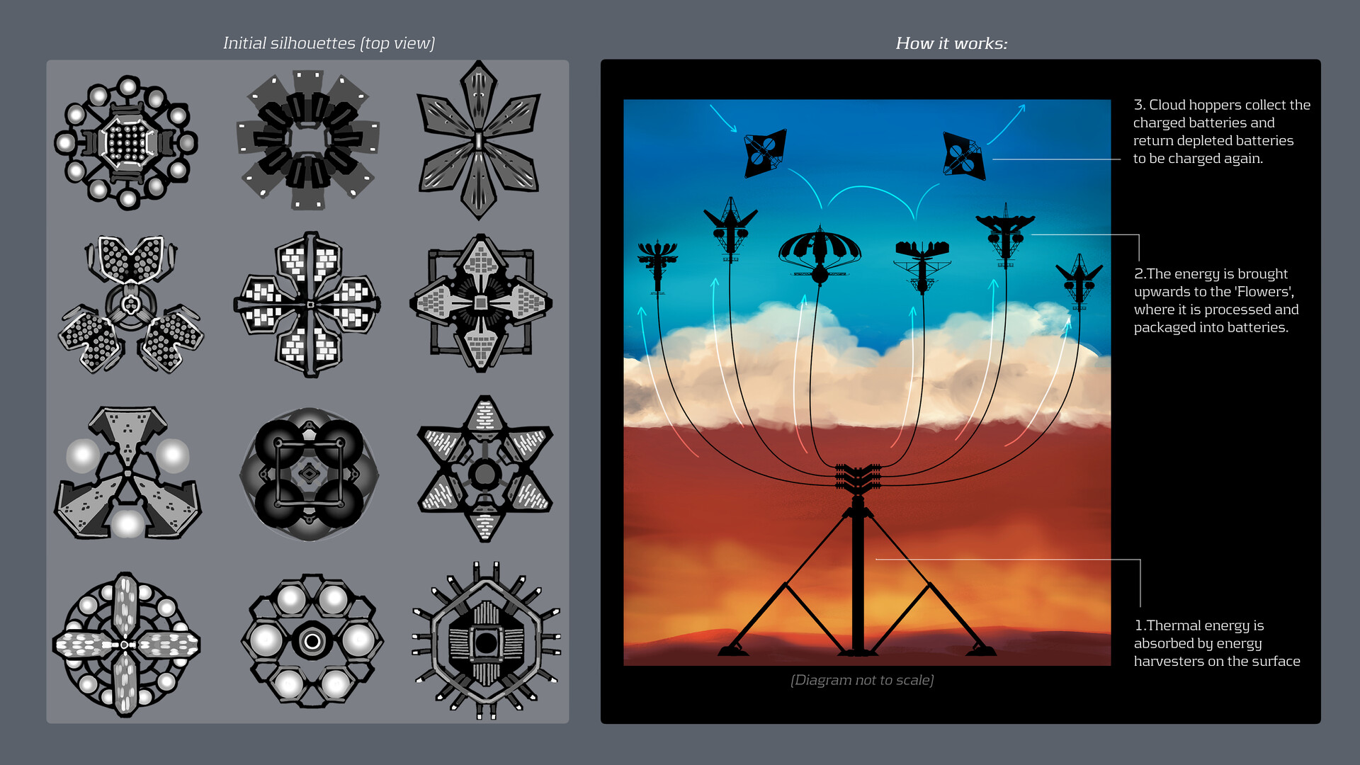 Dean Zuberi Africa - Flowers of Venus - Flowers & Batteries