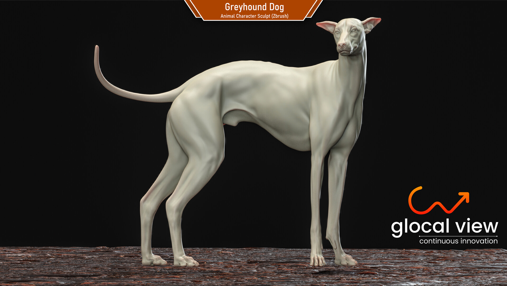 Glocal View Studios - Greyhound Dog | Animal Character Sculpt (Zbrush)
