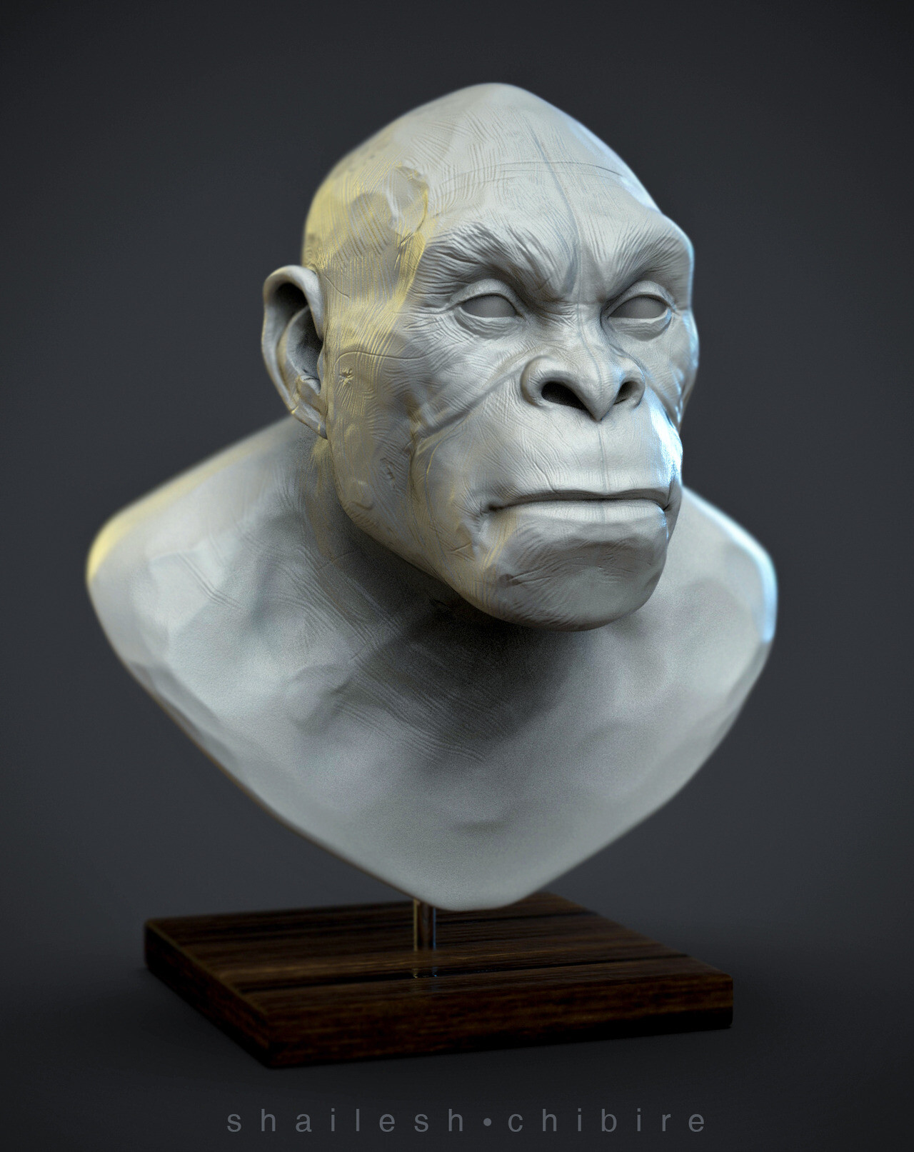 ArtStation - Rapid zSculpt