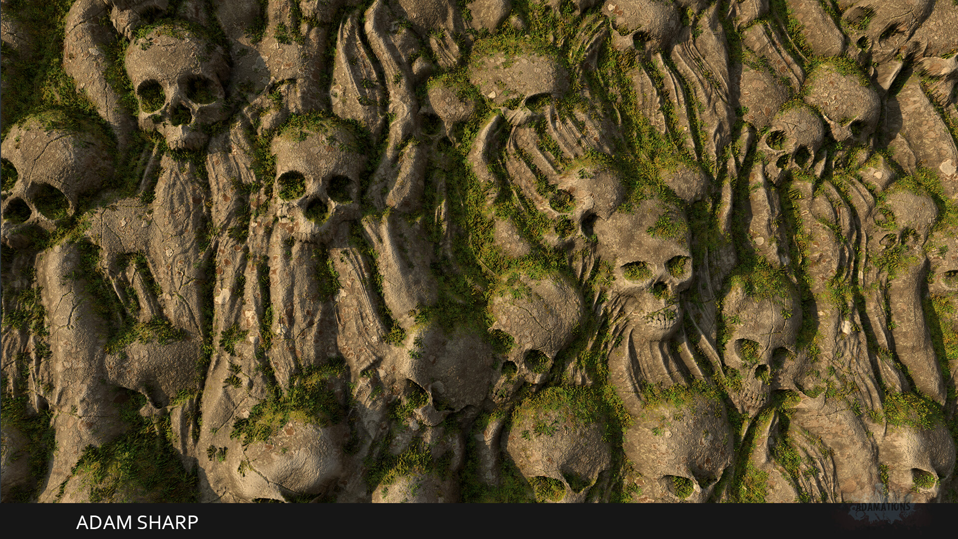 adam-sharp-skullwall-03.jpg?1744029556 (1.11 MB,1920*1080)-花瓣网