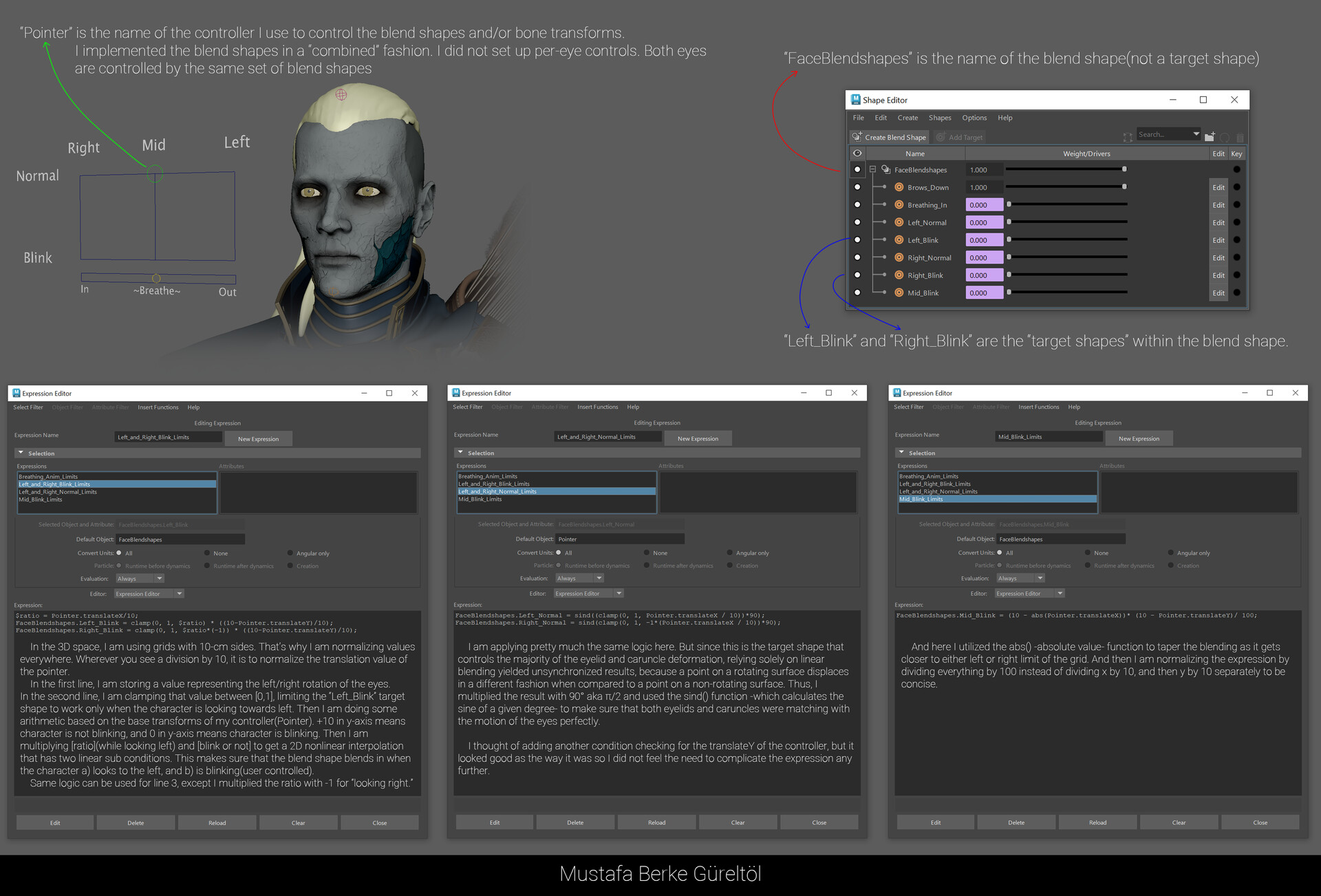 Mustafa Berke Güreltöl - Sentinel