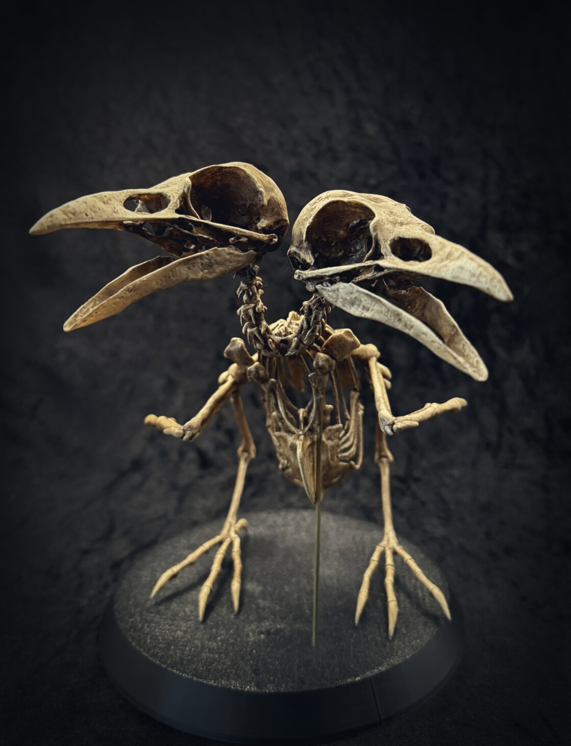 Shaz Abdullah - Two Headed Raven