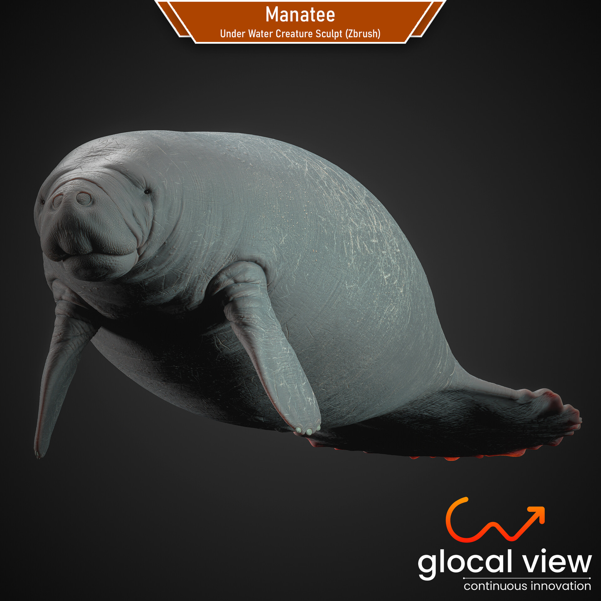 Glocal View Studios - Manatee – Realistic Underwater Creature Sculpt
