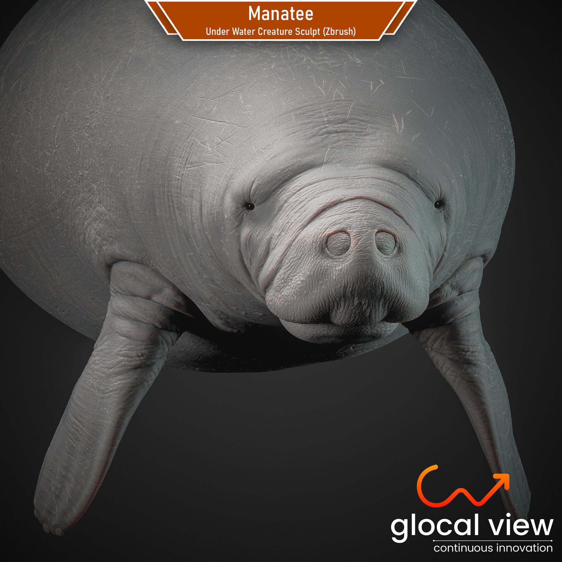 ArtStation - Manatee – Realistic Underwater Creature Sculpt