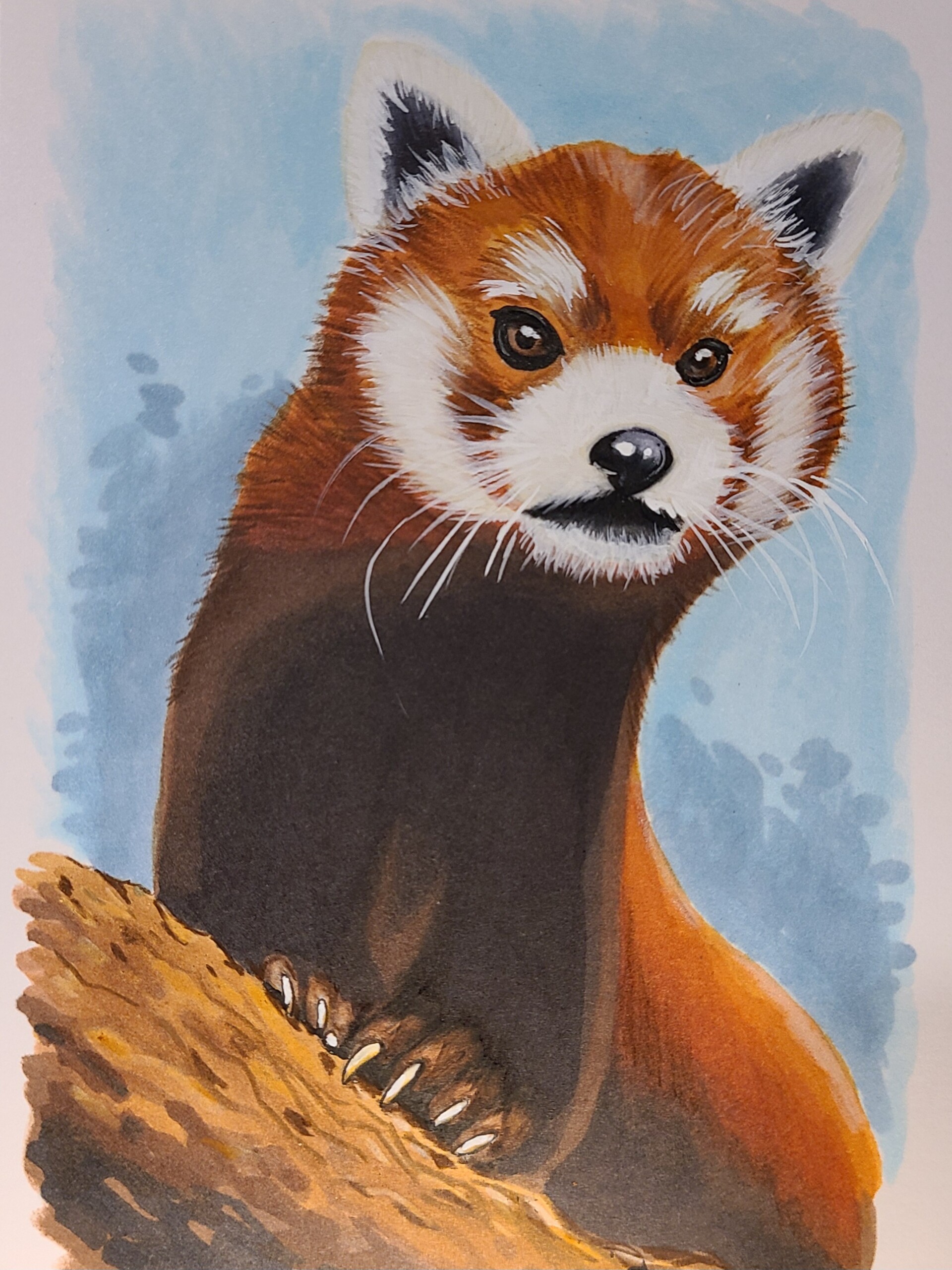 ArtStation - Red Panda