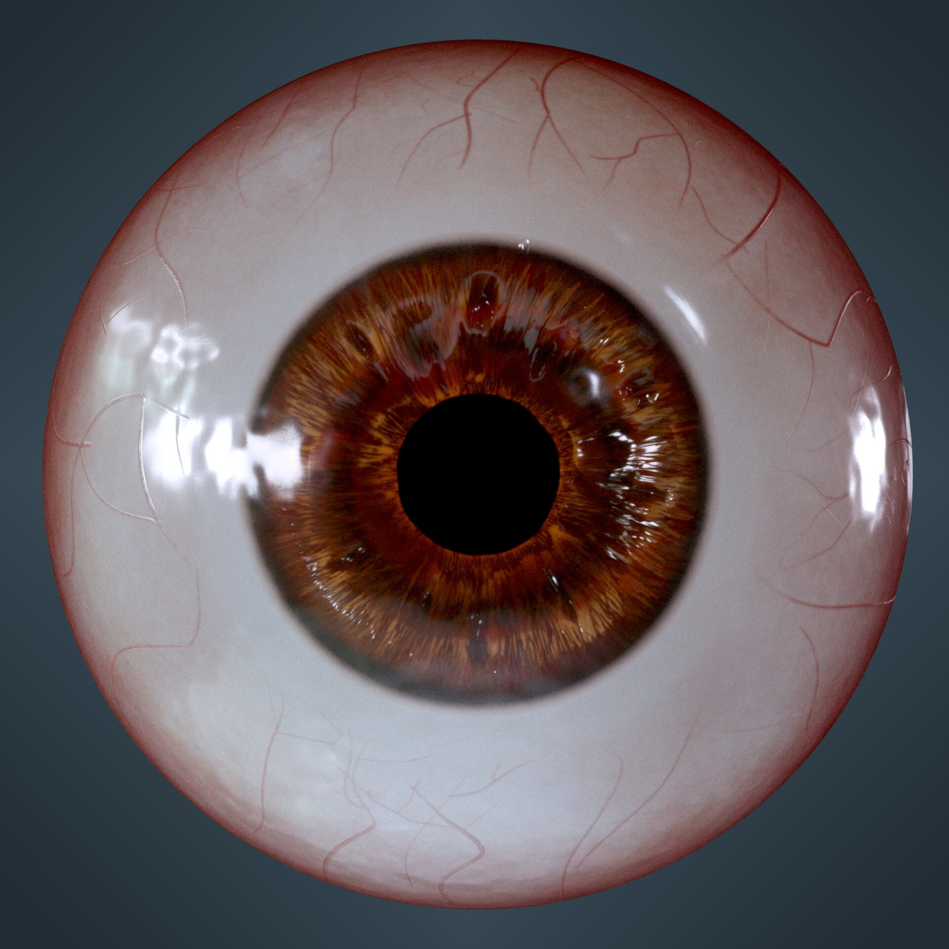 Thomi Castro - Brown eye