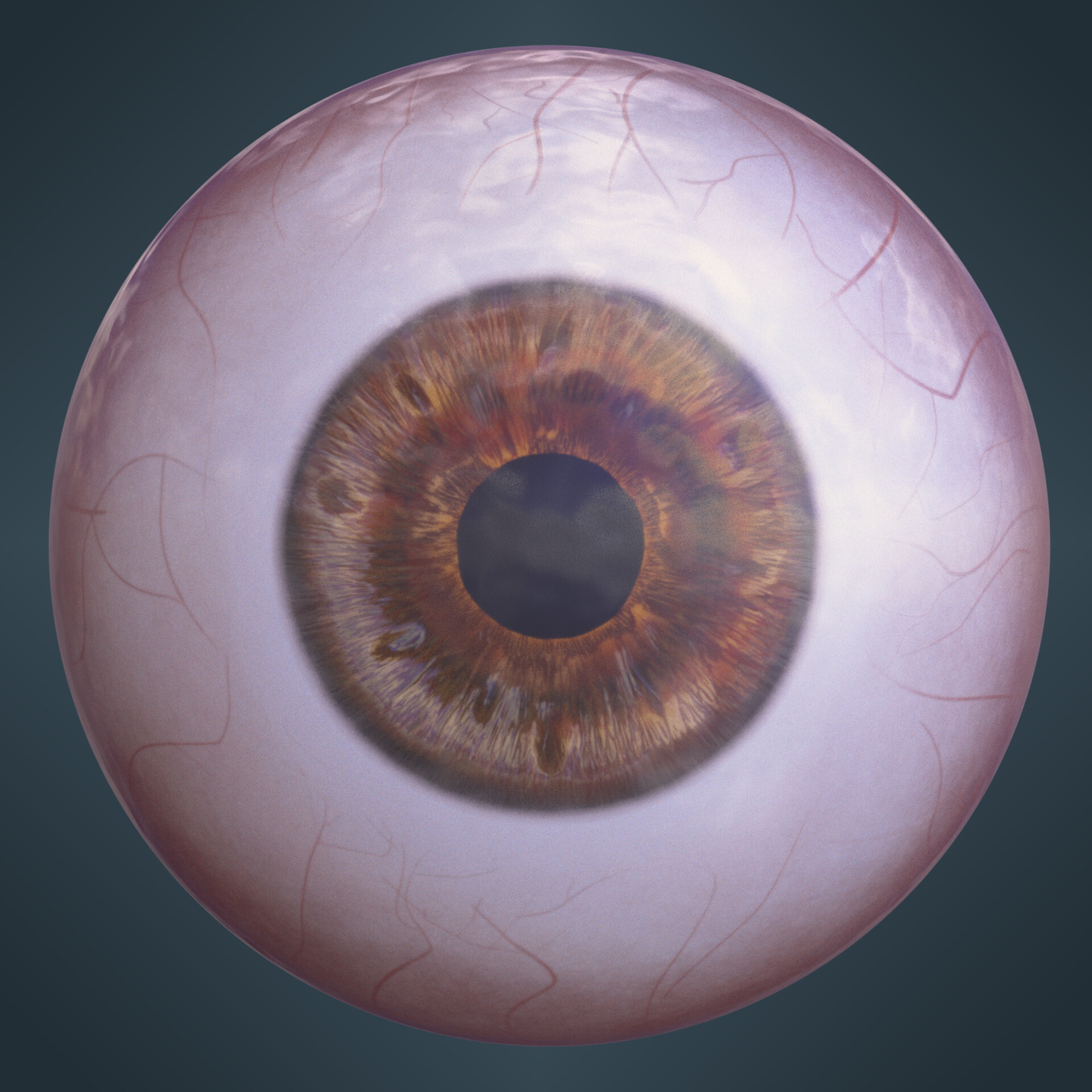 Thomi Castro - Brown eye