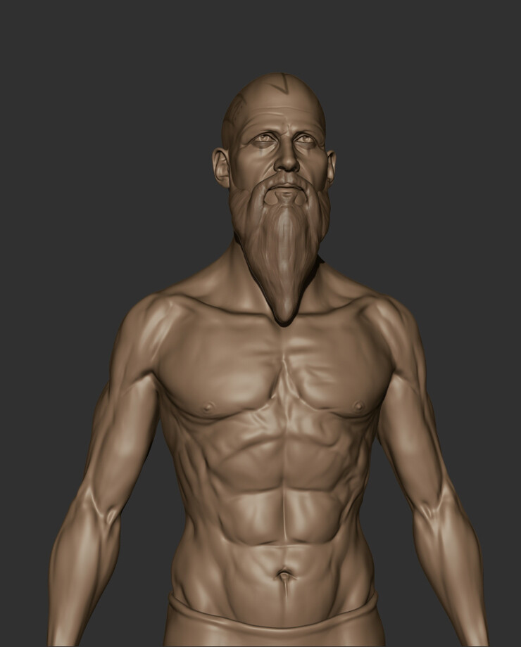 ArtStation - Anatomy Study
