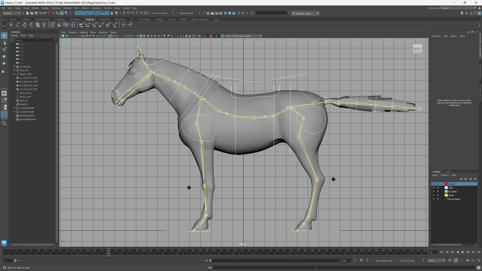 ArtStation - Horse Rig