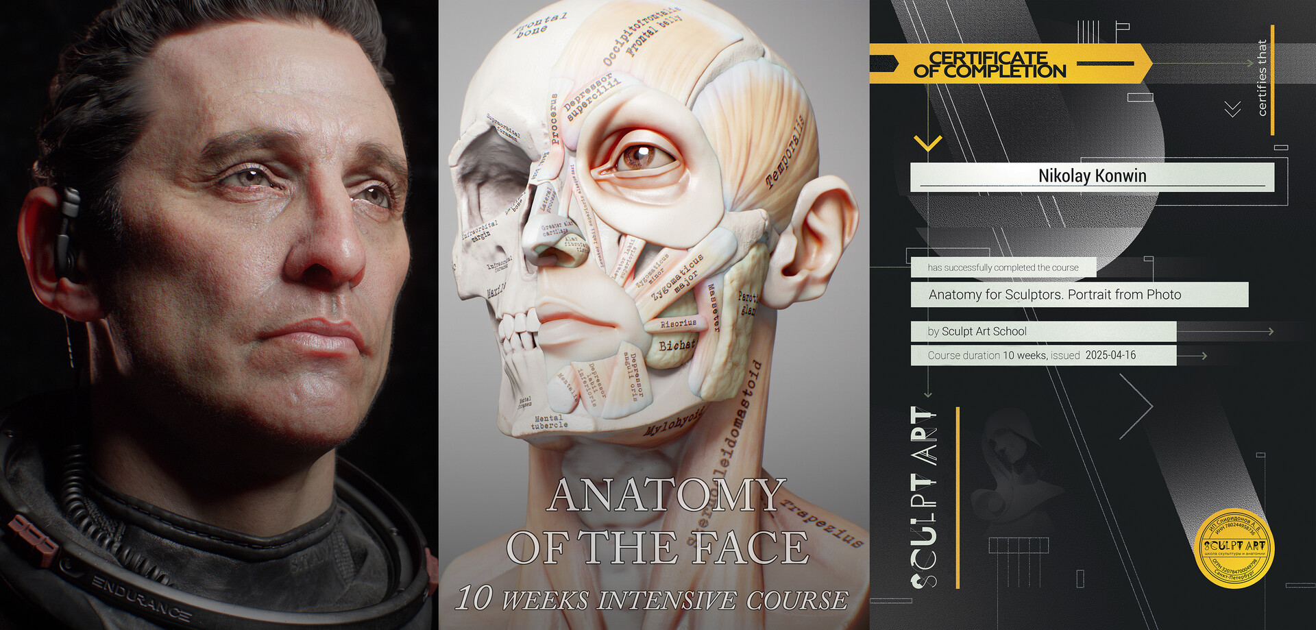 Nikolay Konwin - Anatomy of the Face: skull & écorché