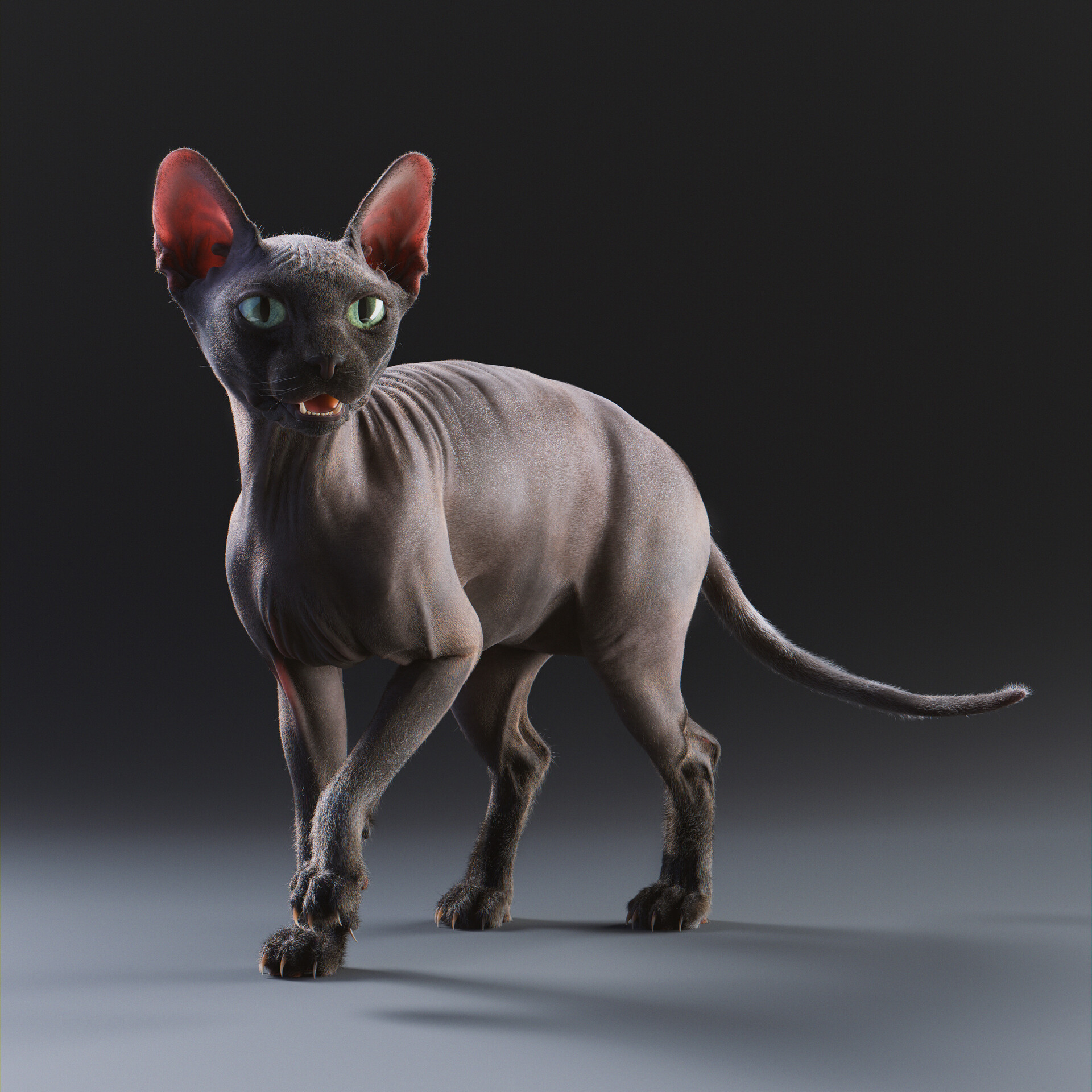 ArtStation - Sphynx Cat Remake