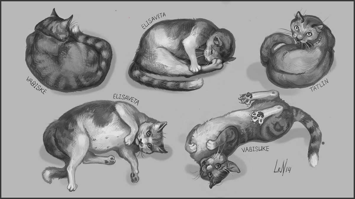 ArtStation - Cats