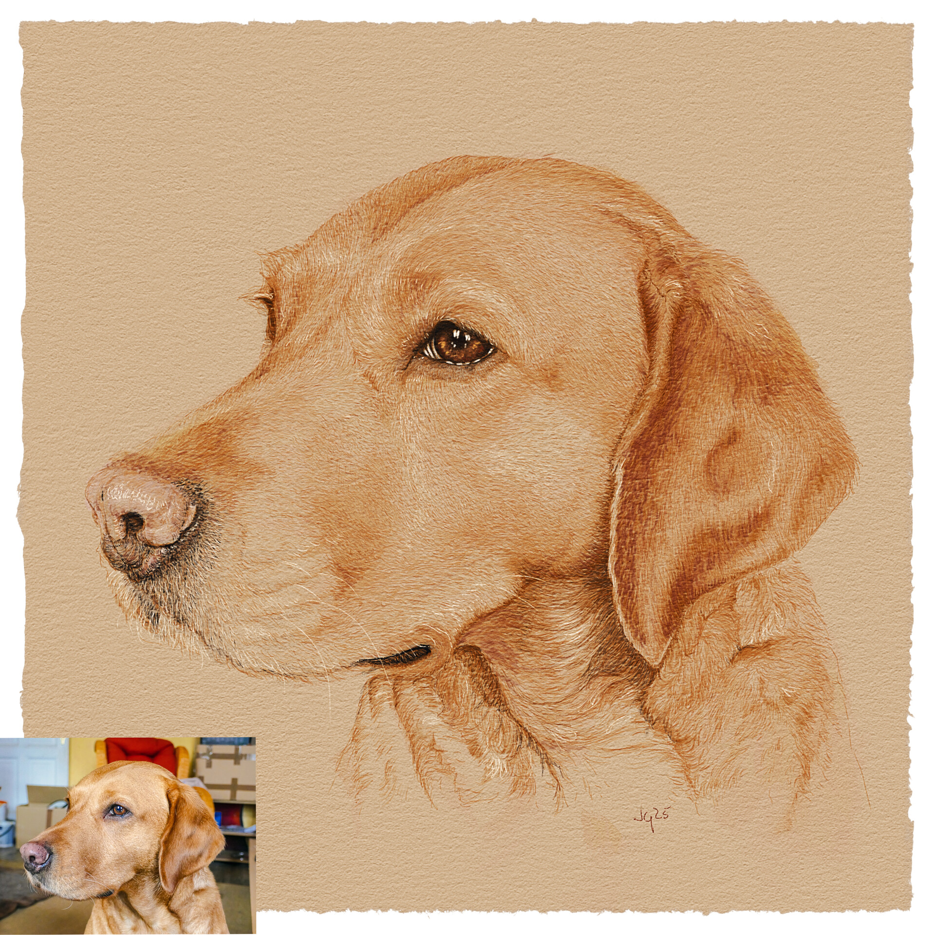ArtStation - dog portrait "pipa"