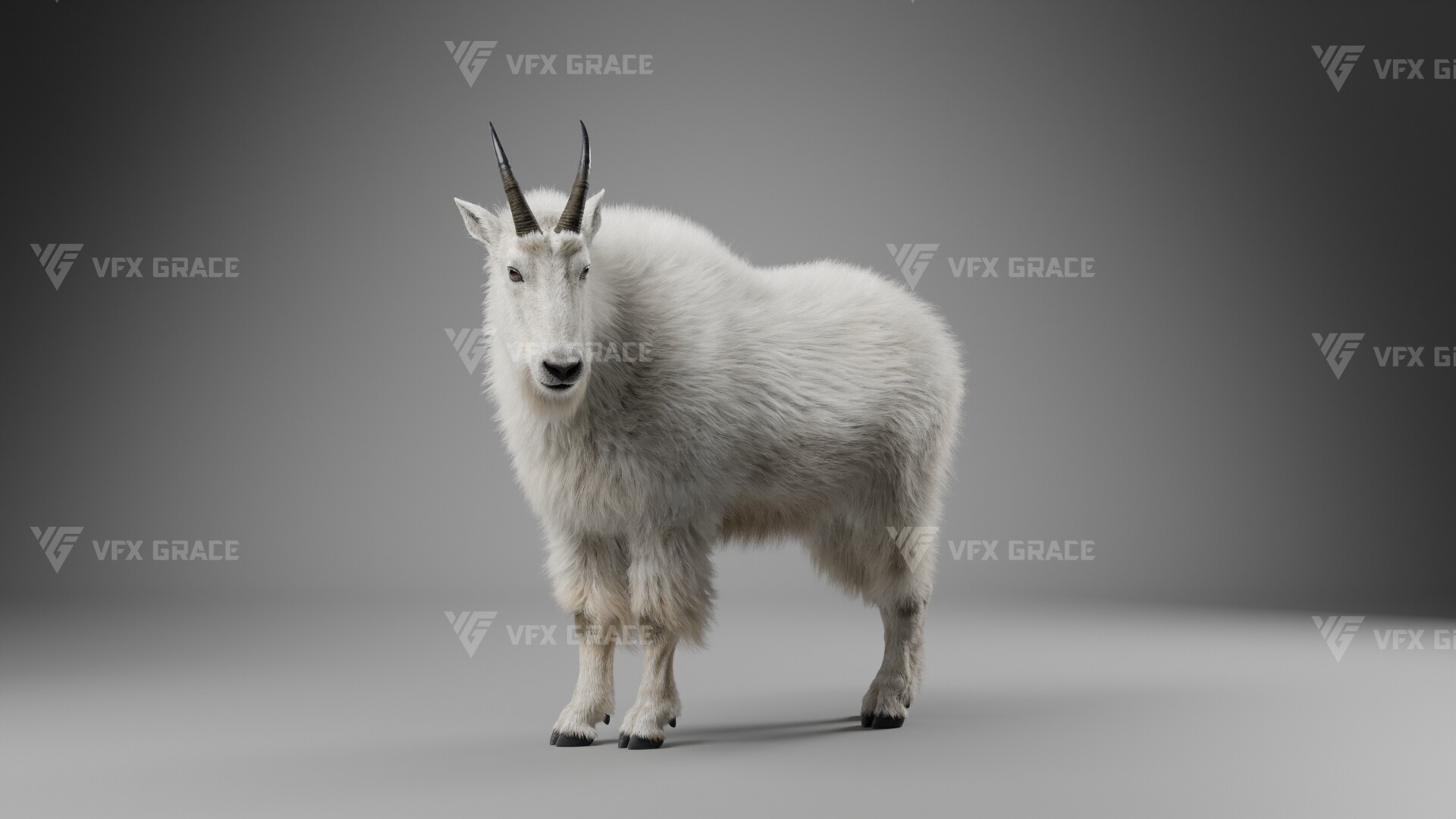 VFX models - Mountain Goat 3D Model & Animation for Blender