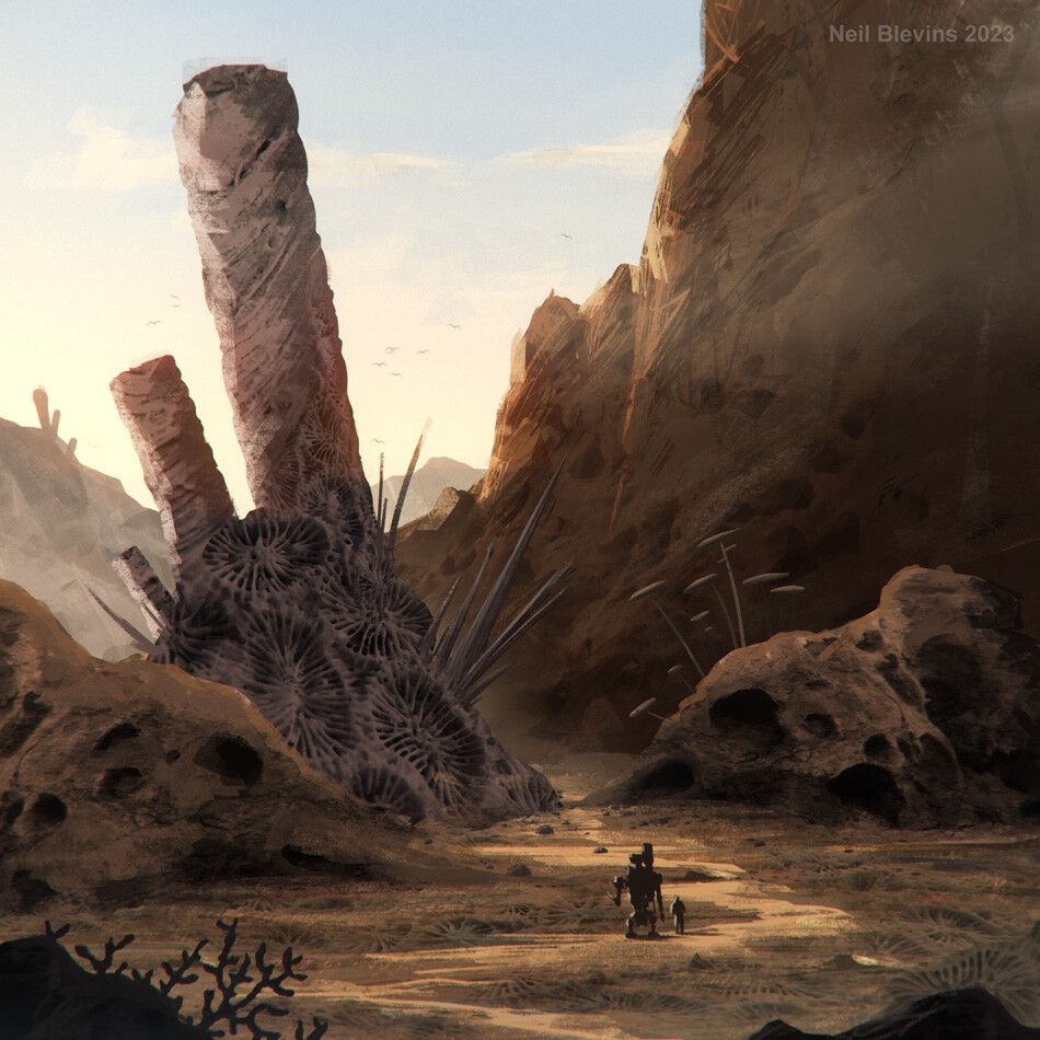 Neil Blevins - Inc Coral Desert Wandering 16