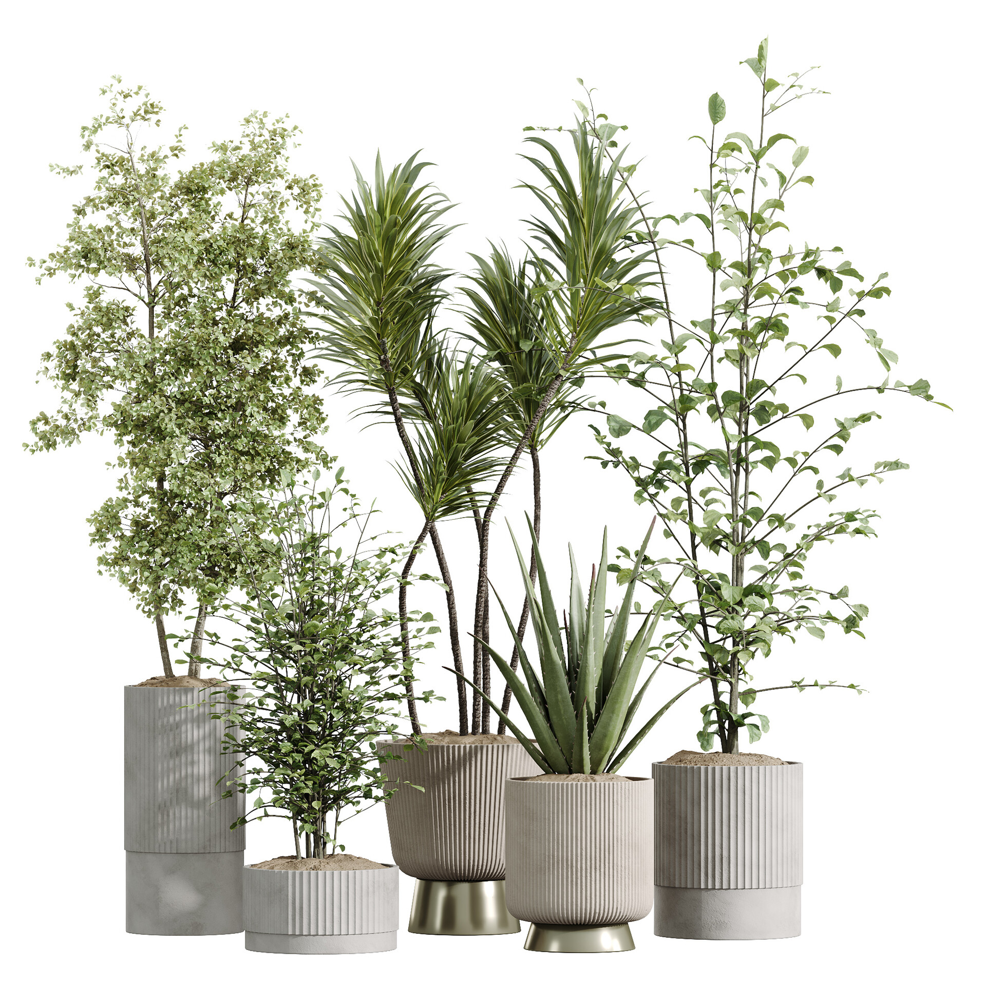 ArtStation - AV Indoor Plants Set 220 Hazel Erle and Aloe Vera and ...