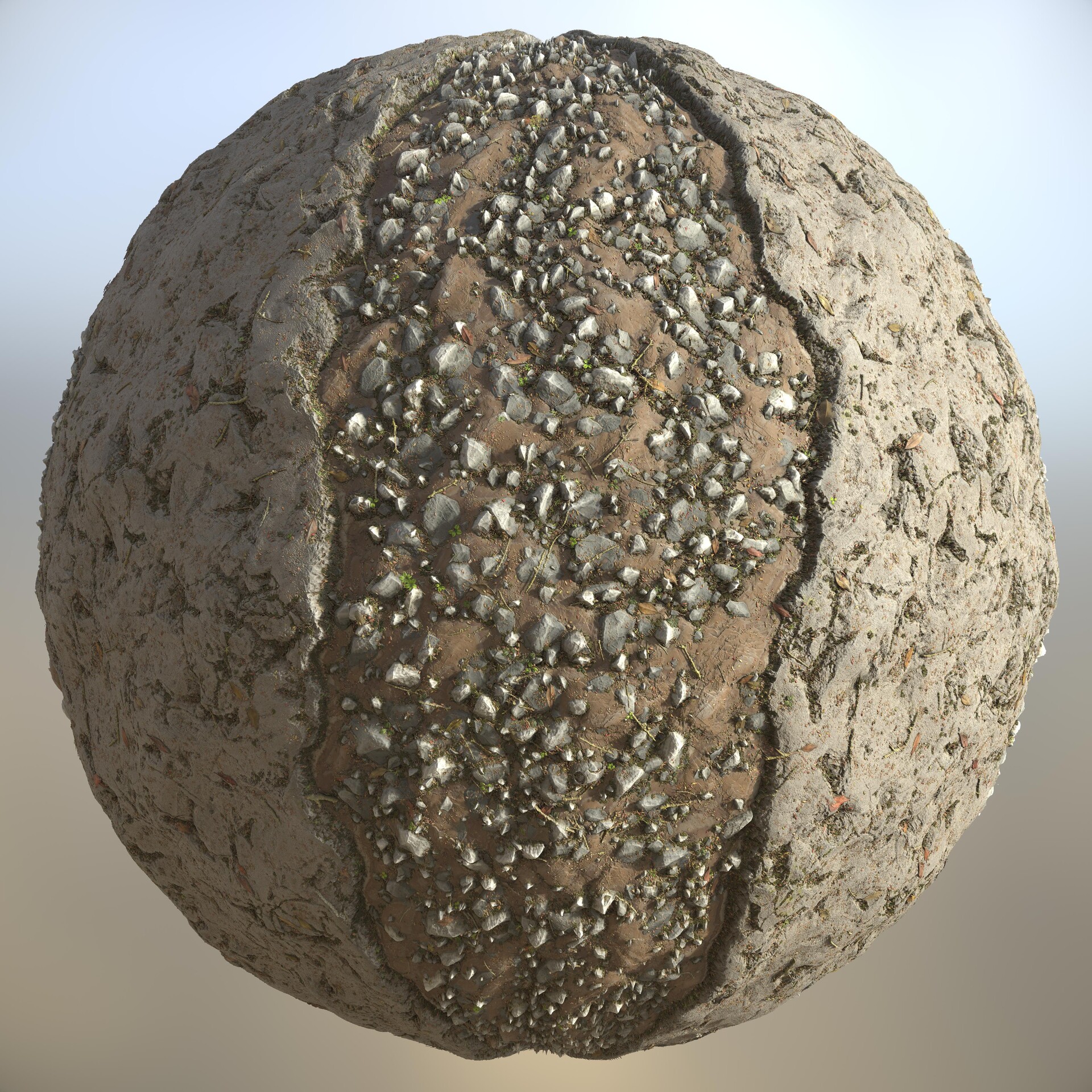 Stefan Oprisan Portfolio - PBR Forest Gravel