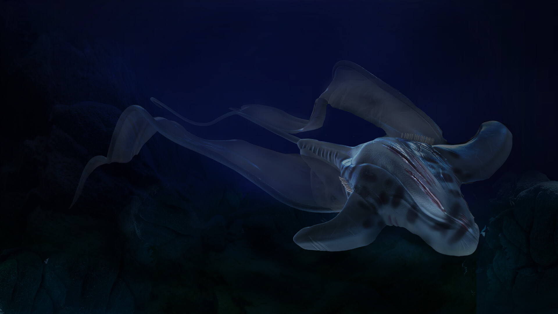 ArtStation - Deep Sea Creature Concept