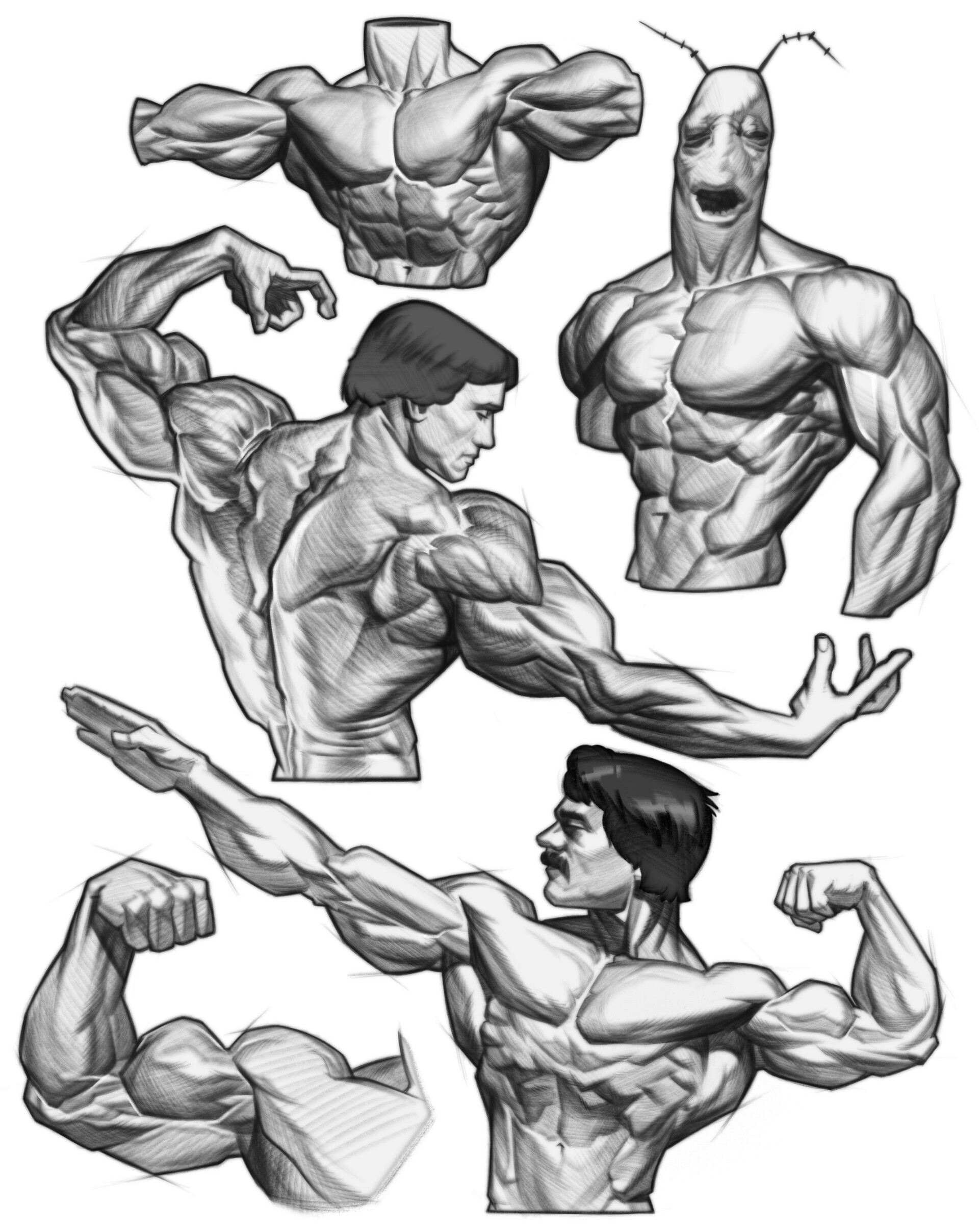 ArtStation - Bodybuilder Studies