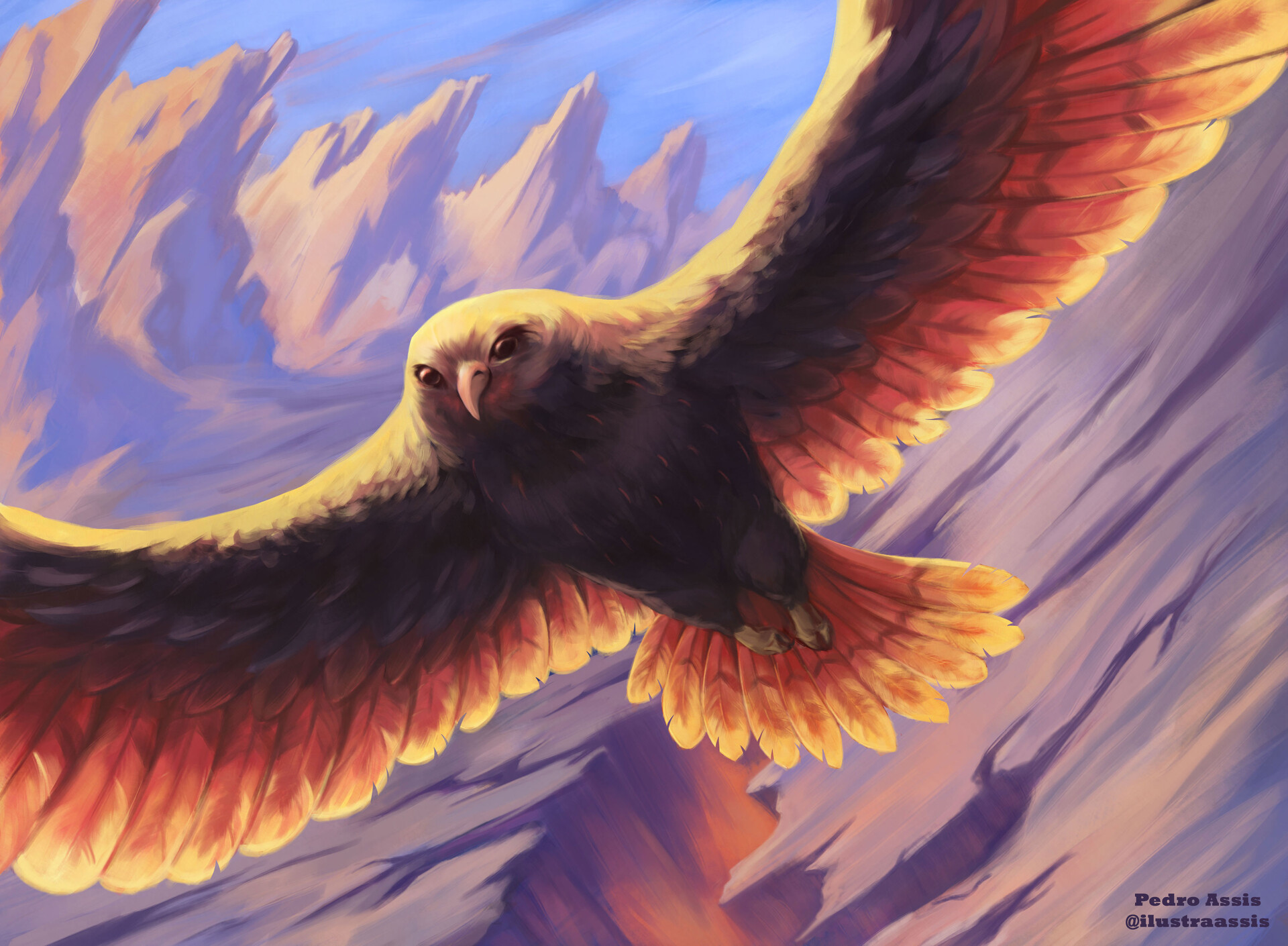 Pedro Assis - Fire Hawk