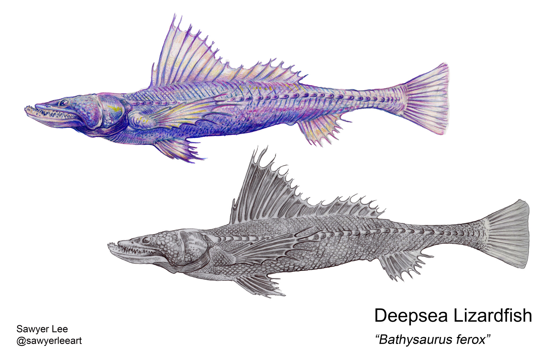ArtStation - Deepsea Lizardfish