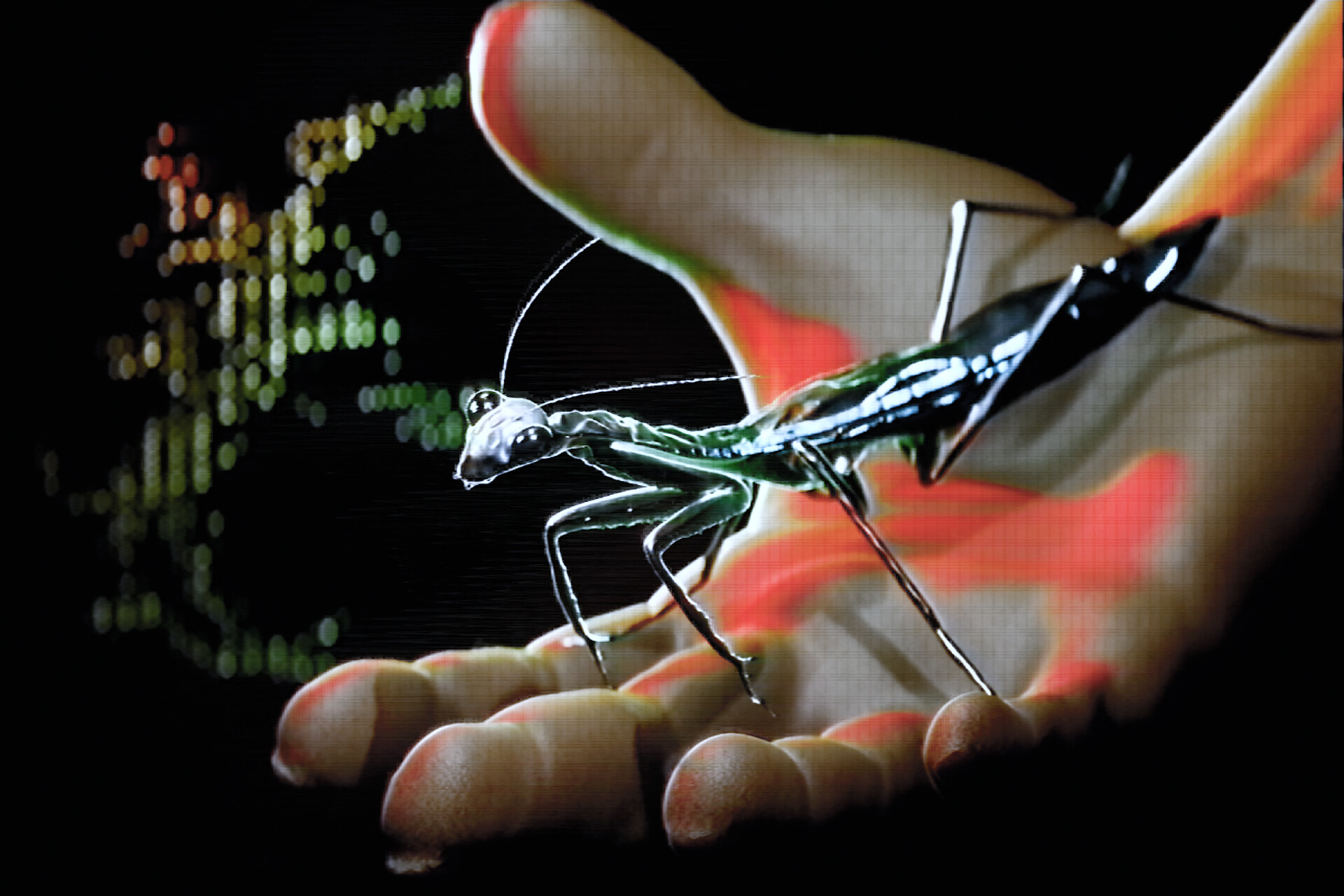 ArtStation - MANTIS | 3D MODEL