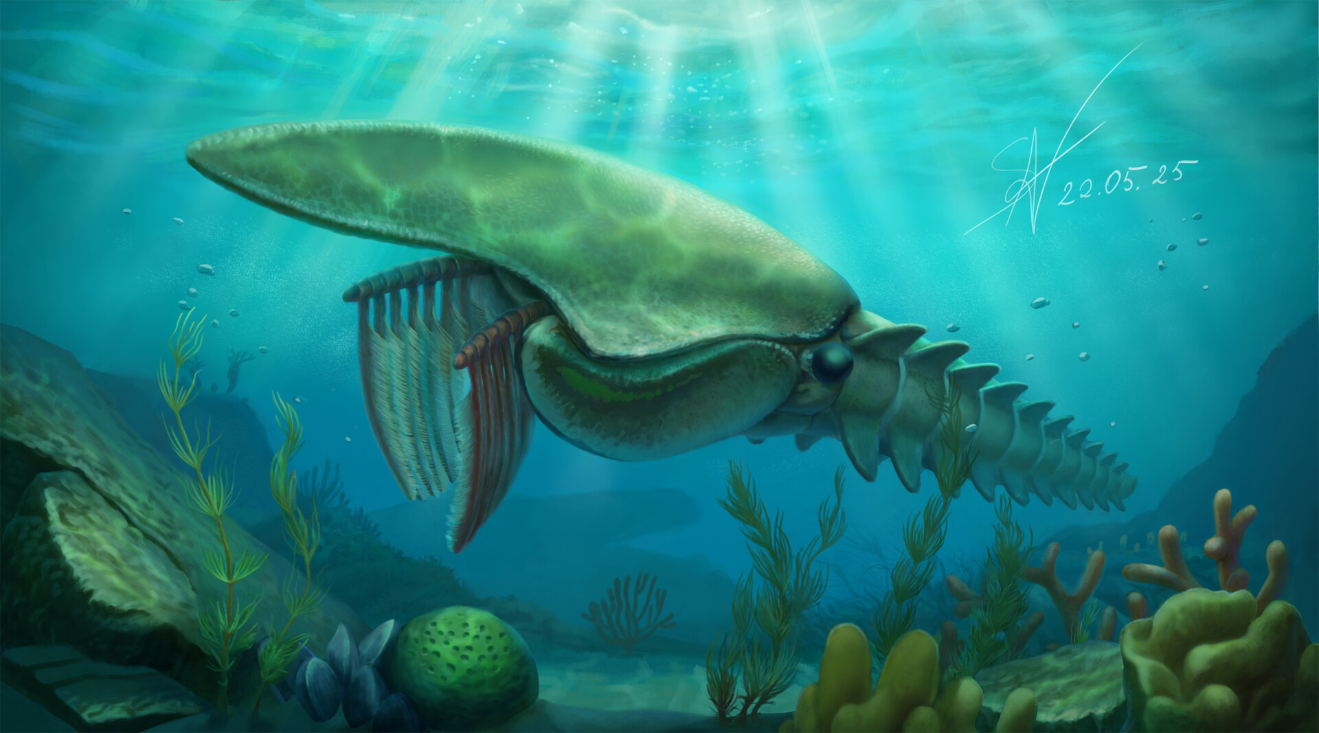 ArtStation - Aegirocassis benmoulae.