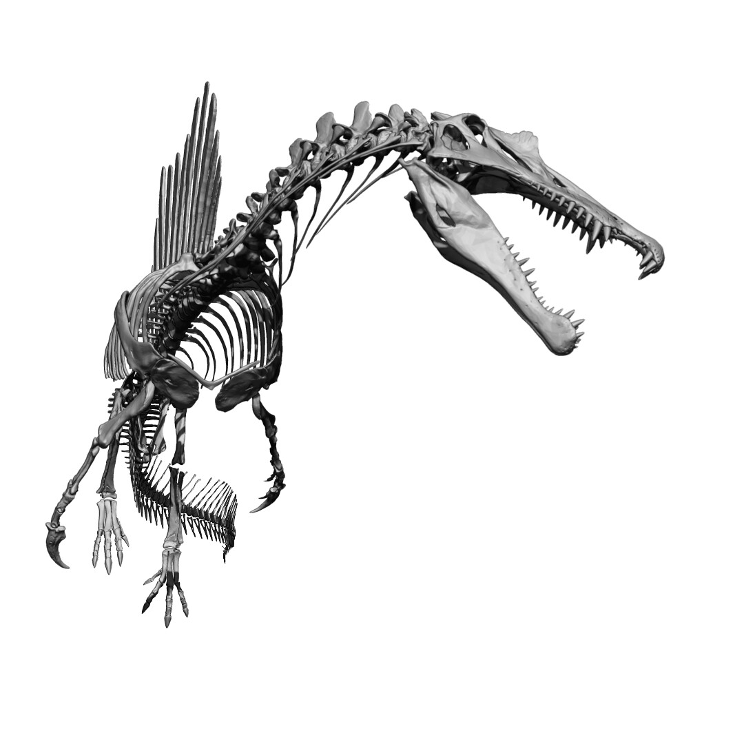 spinosaurus skeleton destroyed