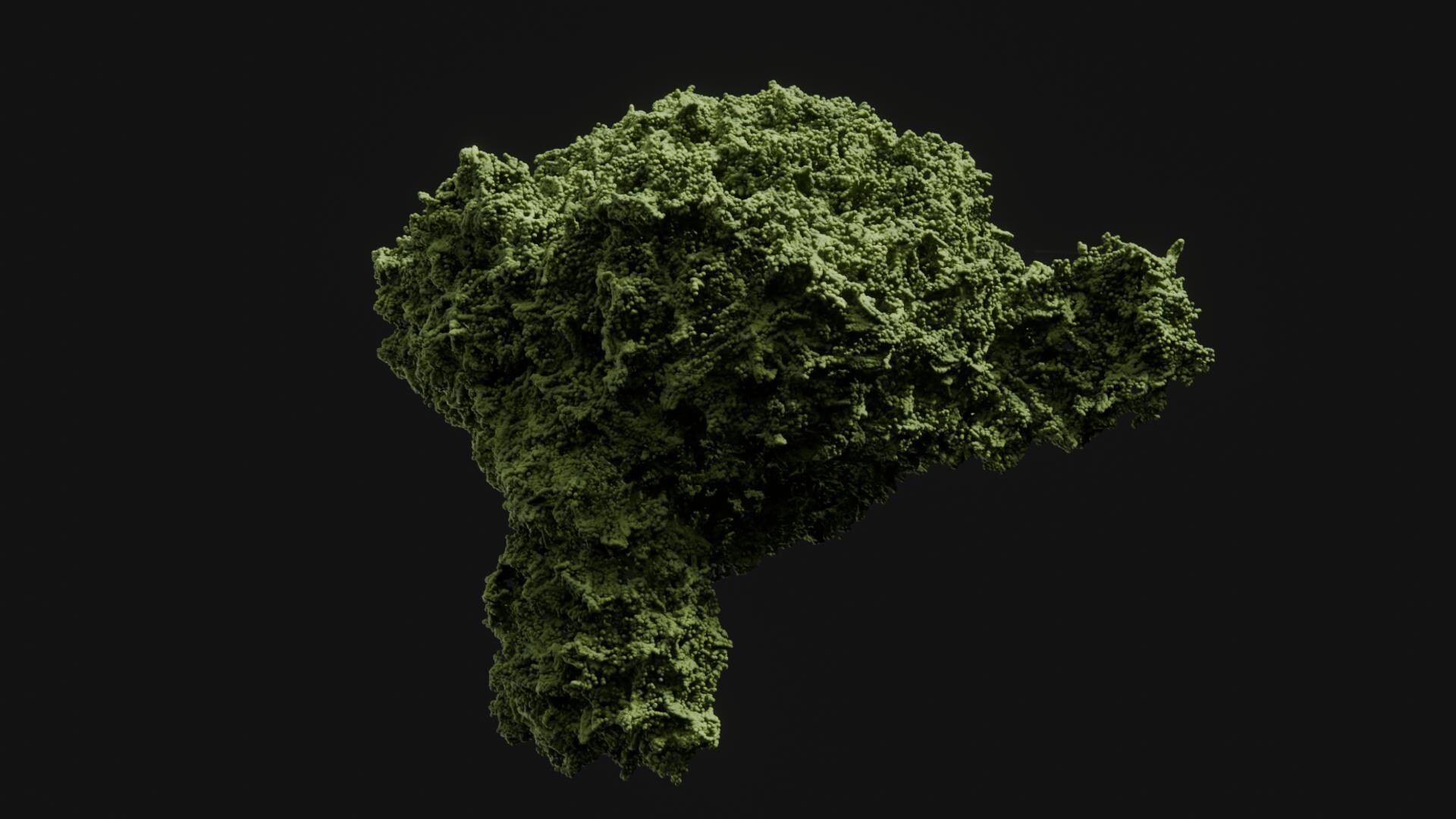 ArtStation - Differential Growth Simulation