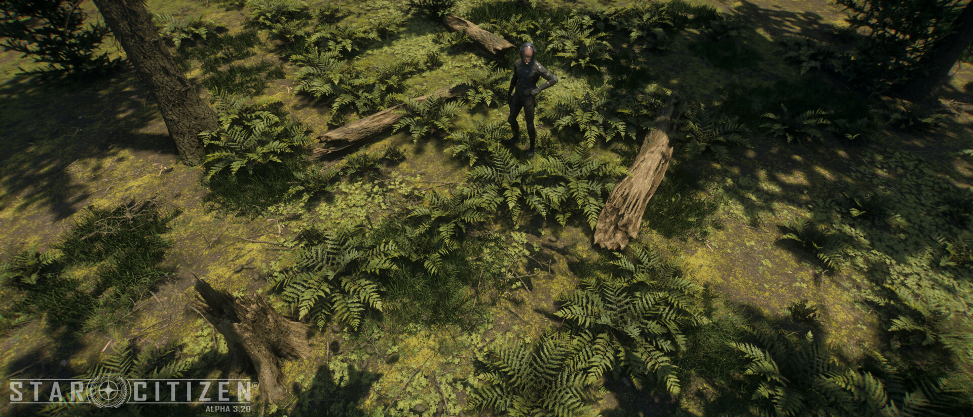 Hasbi Adenan - Star Citizen - Temperate Ferns Plants