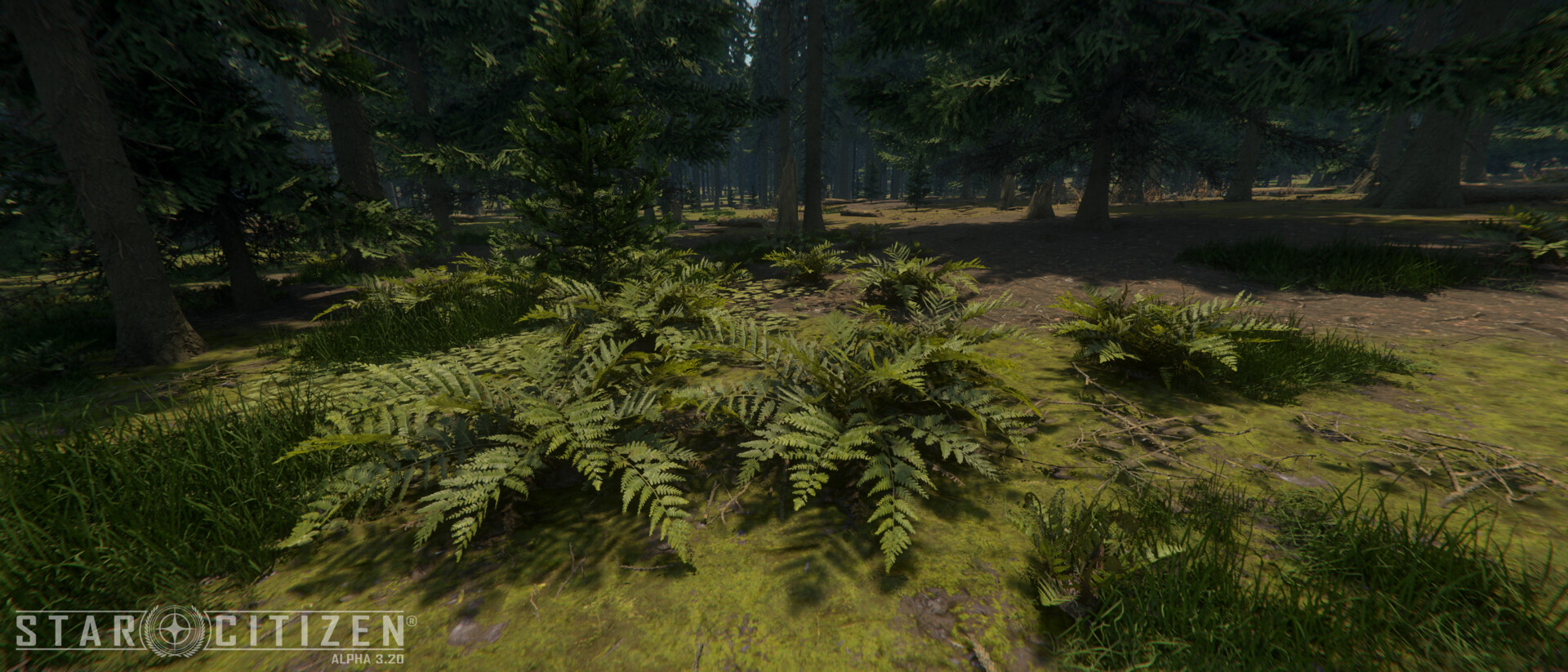 Hasbi Adenan - Star Citizen - Temperate Ferns Plants