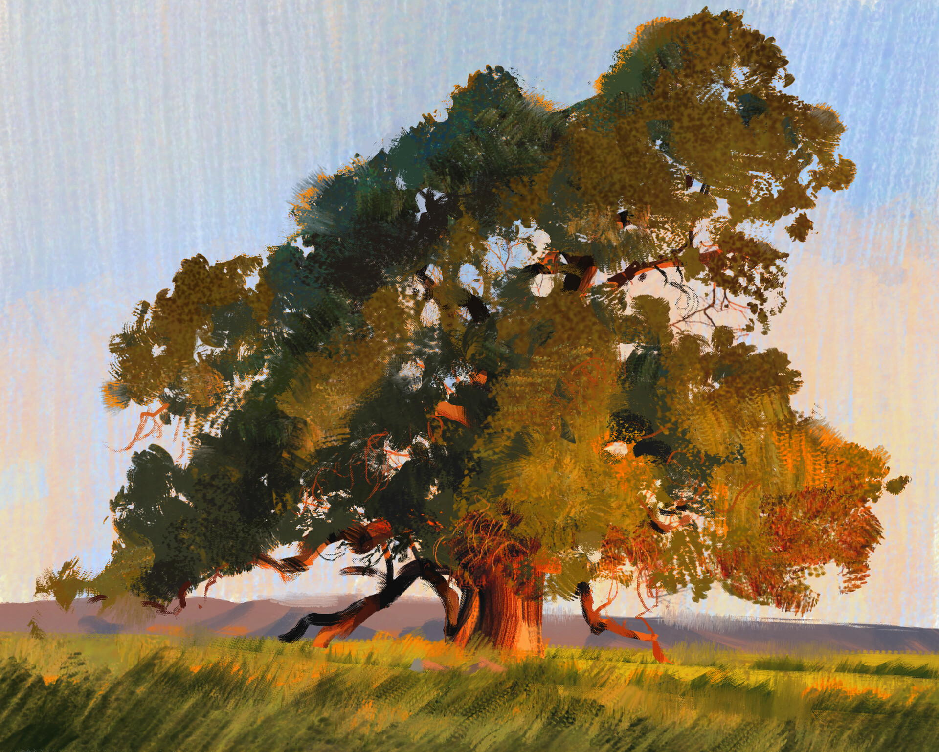 ArtStation - Tree Studies