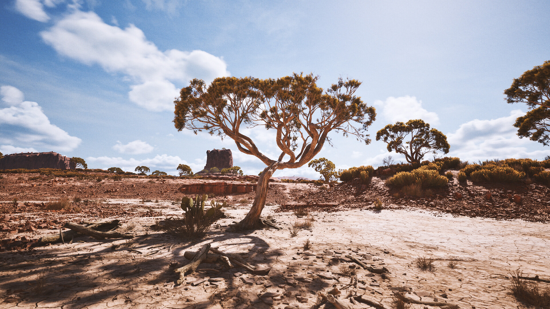 Pasquale Scionti - Canyon Desert Unreal Engine 5.6 Lumen Nanite