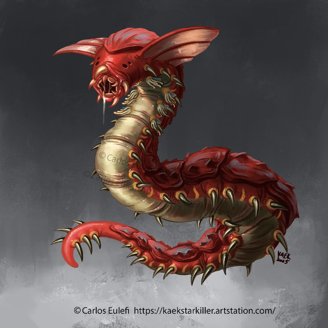 Carlos Eulefi - Spec Evo Sea Cucumber