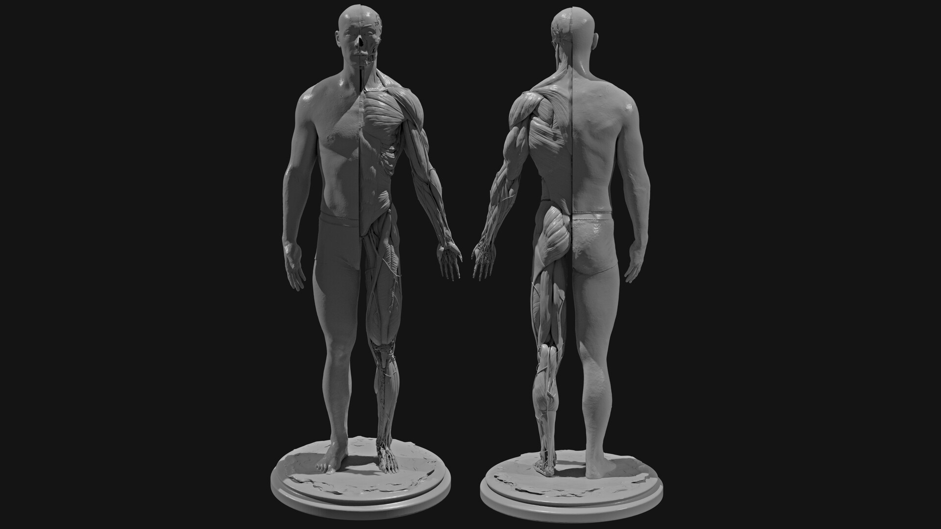 ArtStation - Male Figure