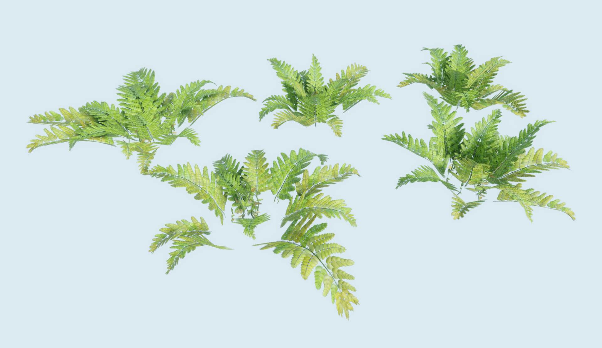 Ashley Lawrence - Warrior Cats Lake Territory - Ground Foliage Assets