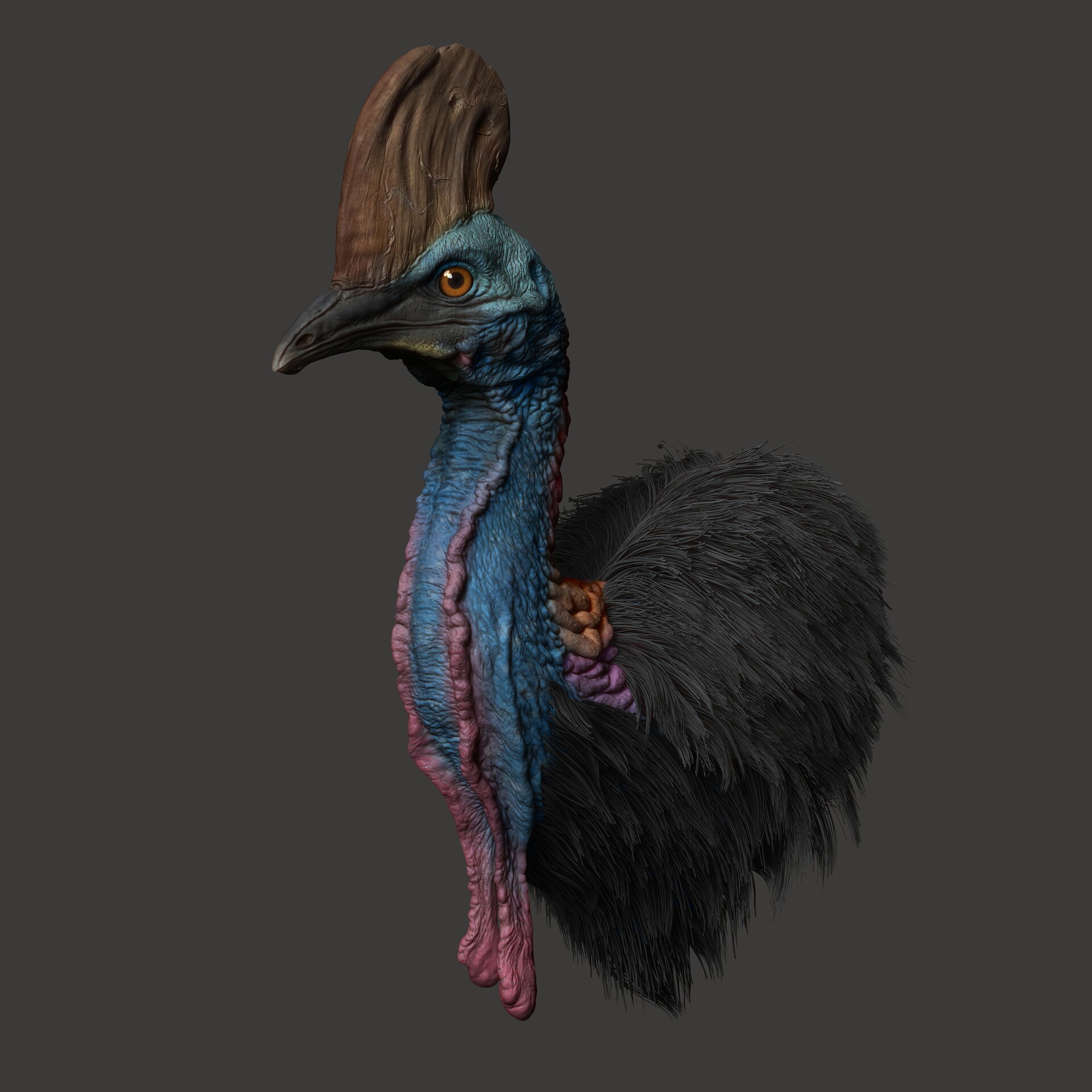 ArtStation - The Killer Bird (cassowary)