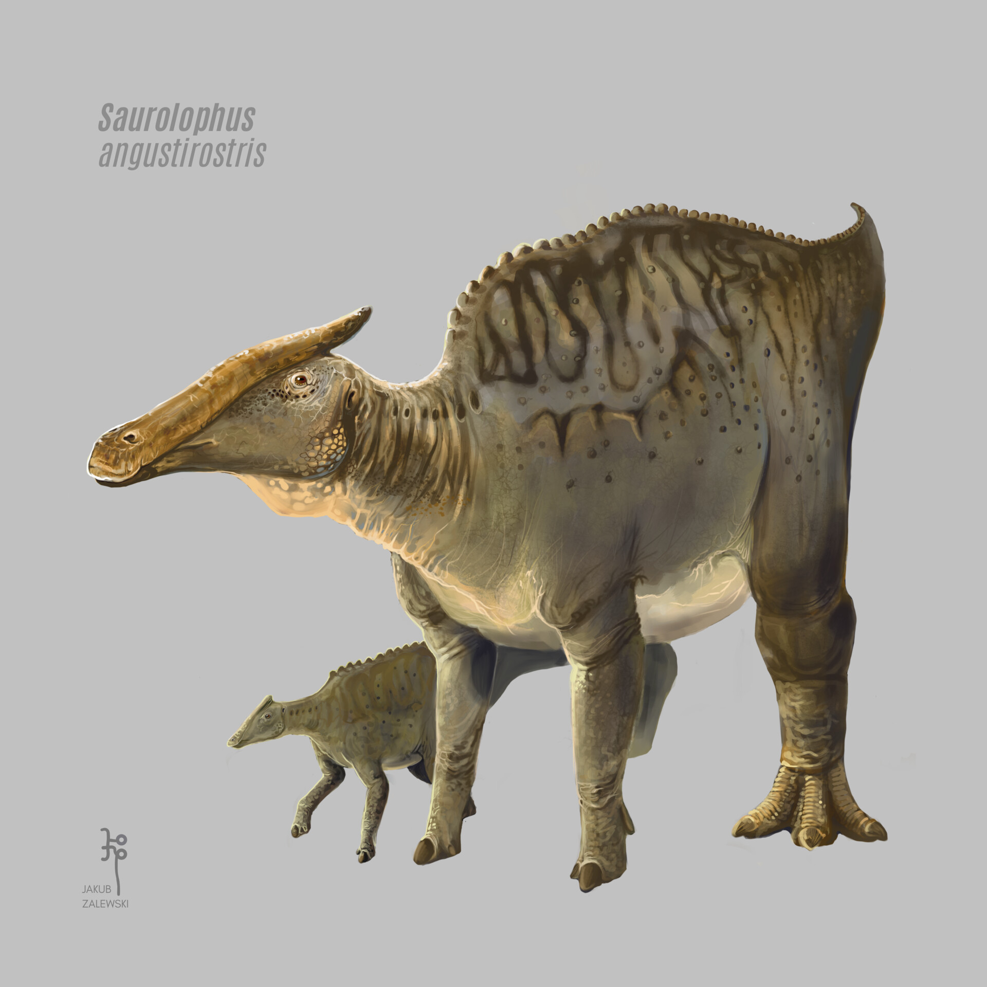 ArtStation - Saurolophus