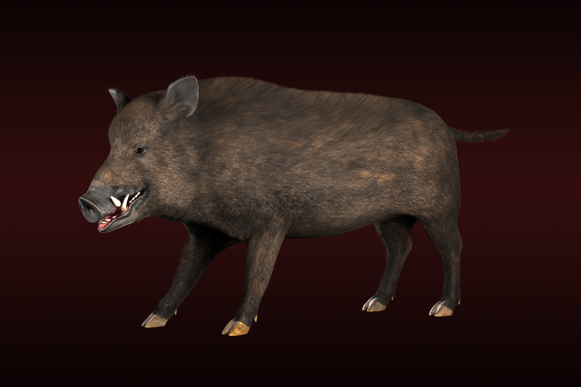 ArtStation - Boar