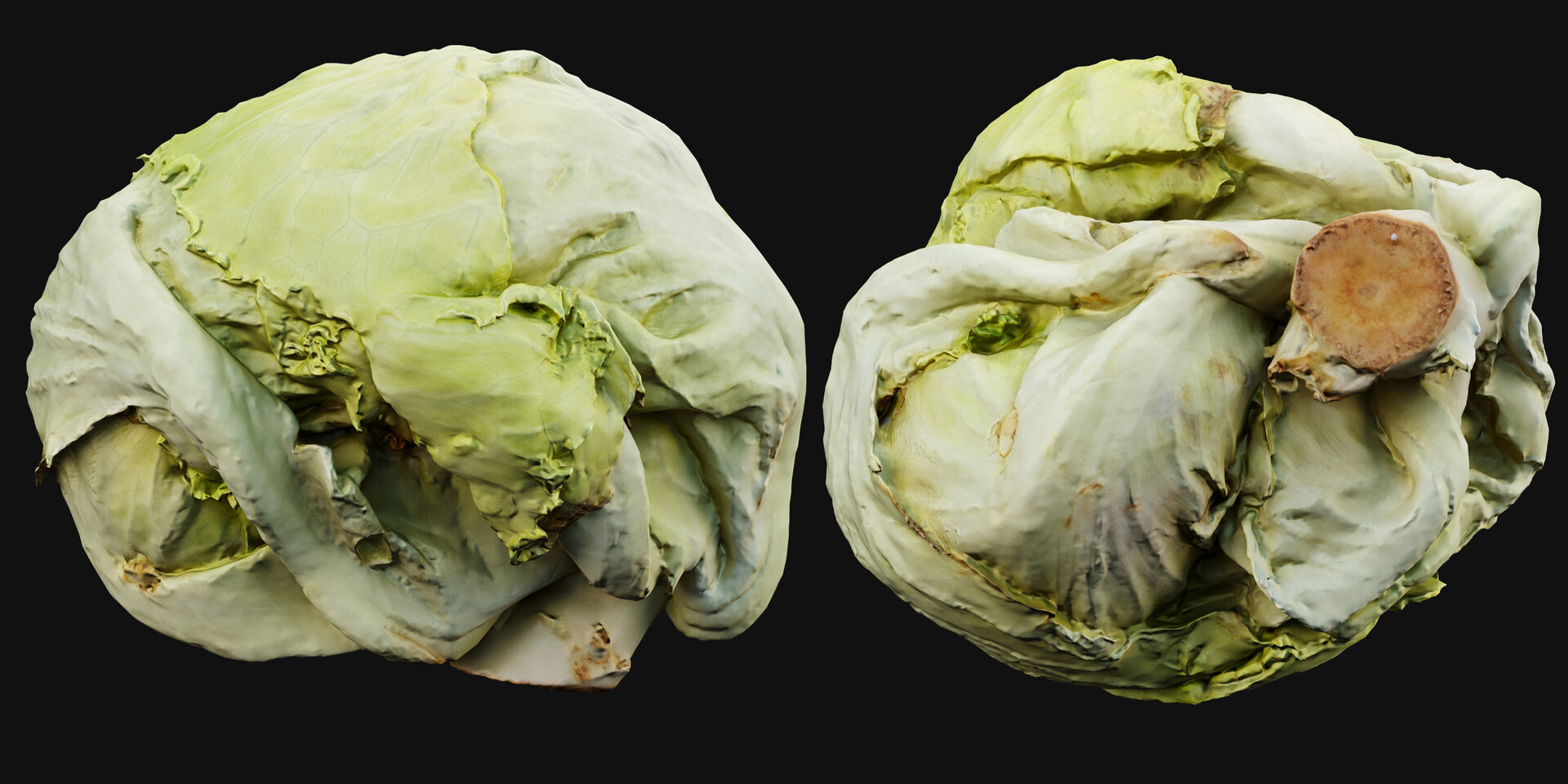 ArtStation - Lettuce 3D Model Vol 01