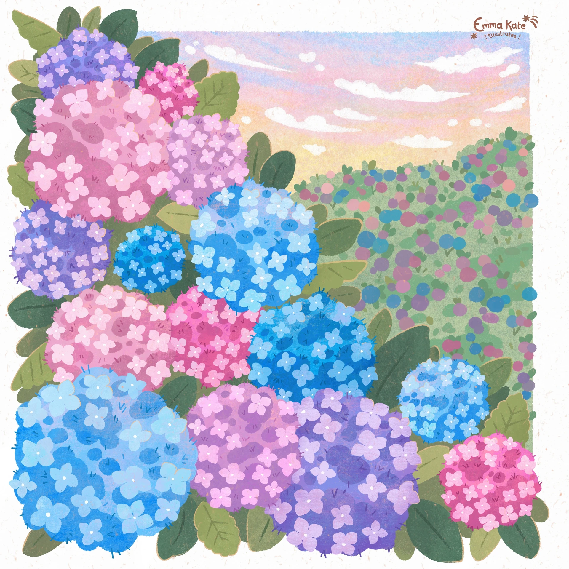 ArtStation - Hydrangea in the warm summer sunset 🌅