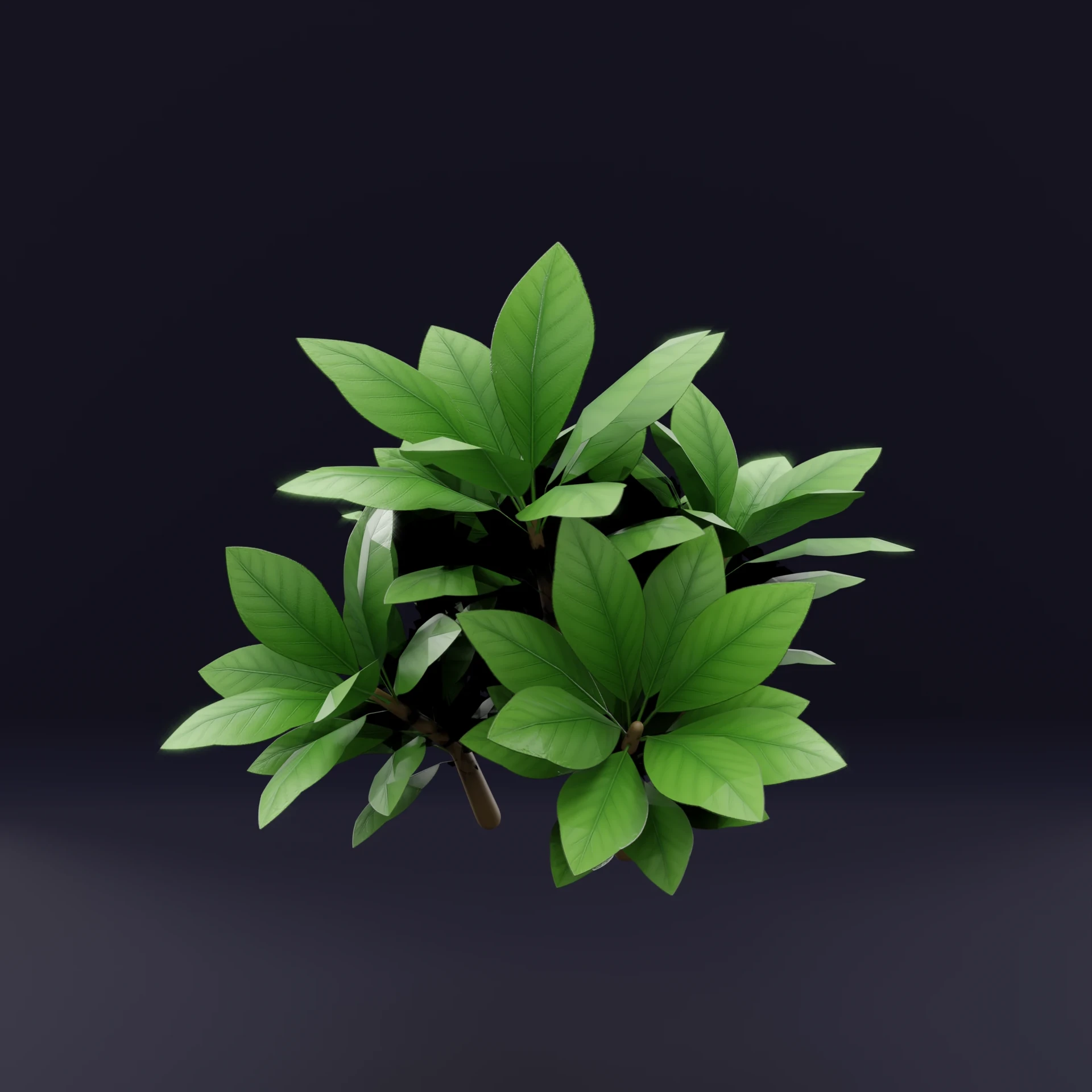 ArtStation - Bush Plant | 3d Model