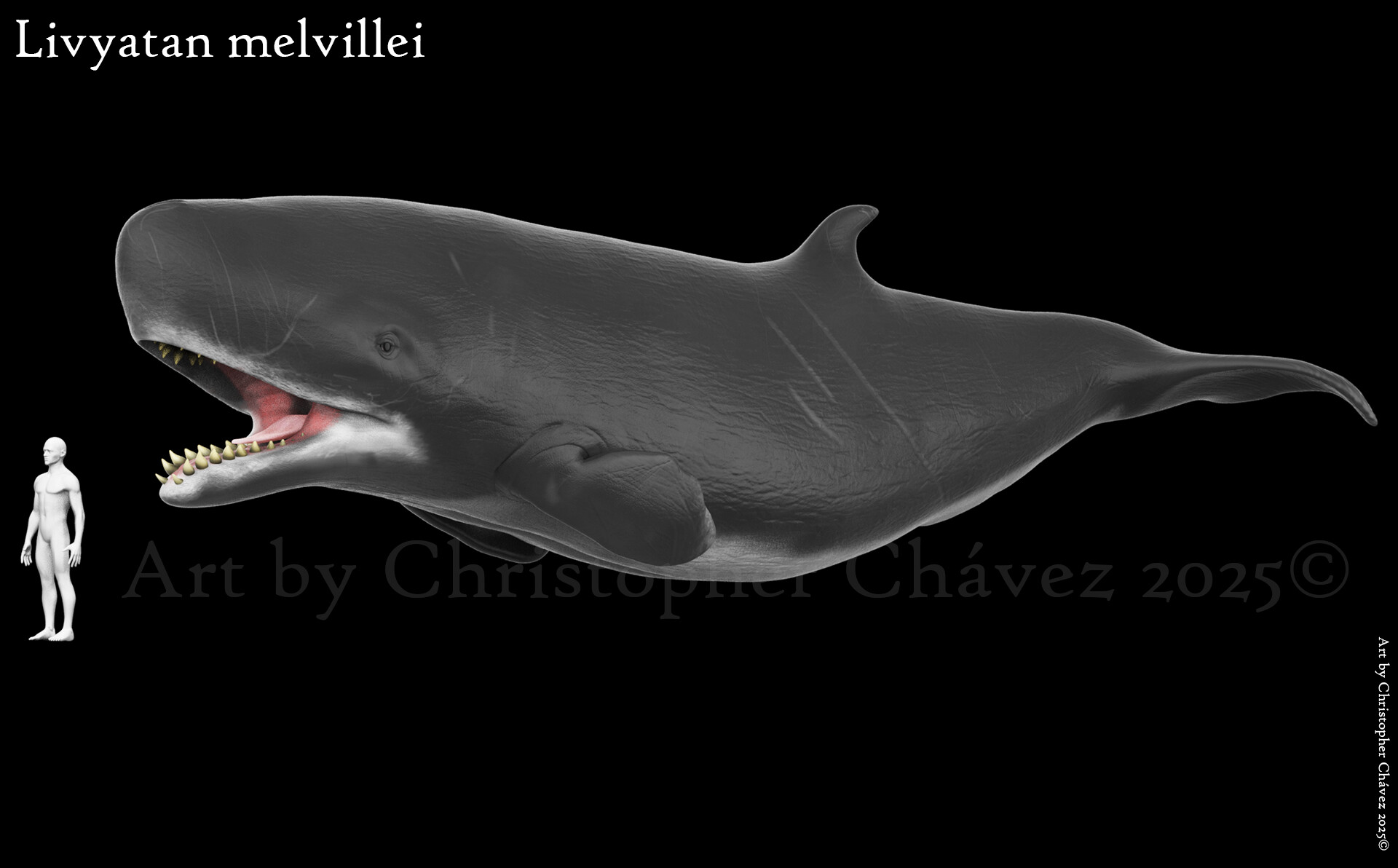 ArtStation - Livyatan melvillei