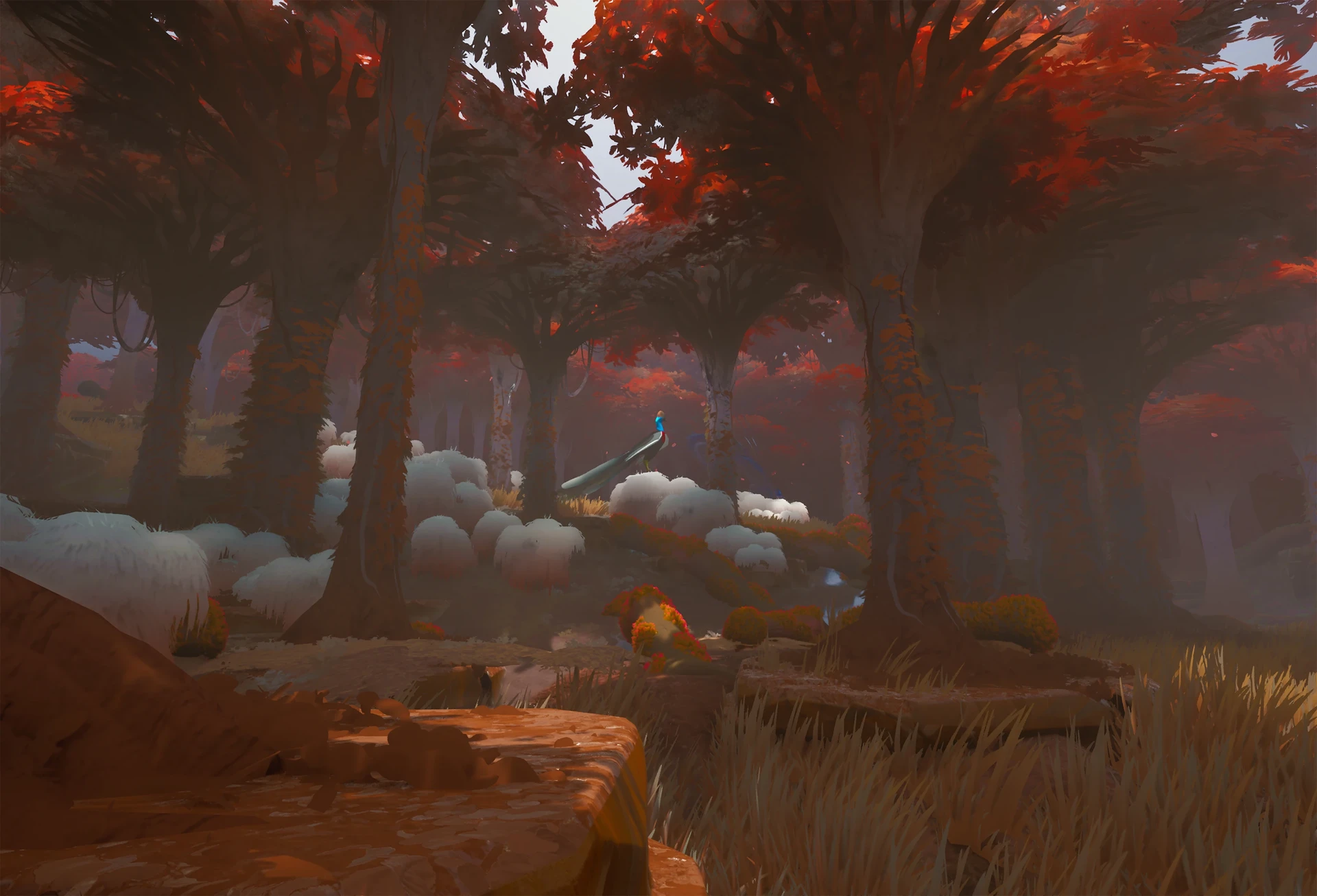 red forest experience