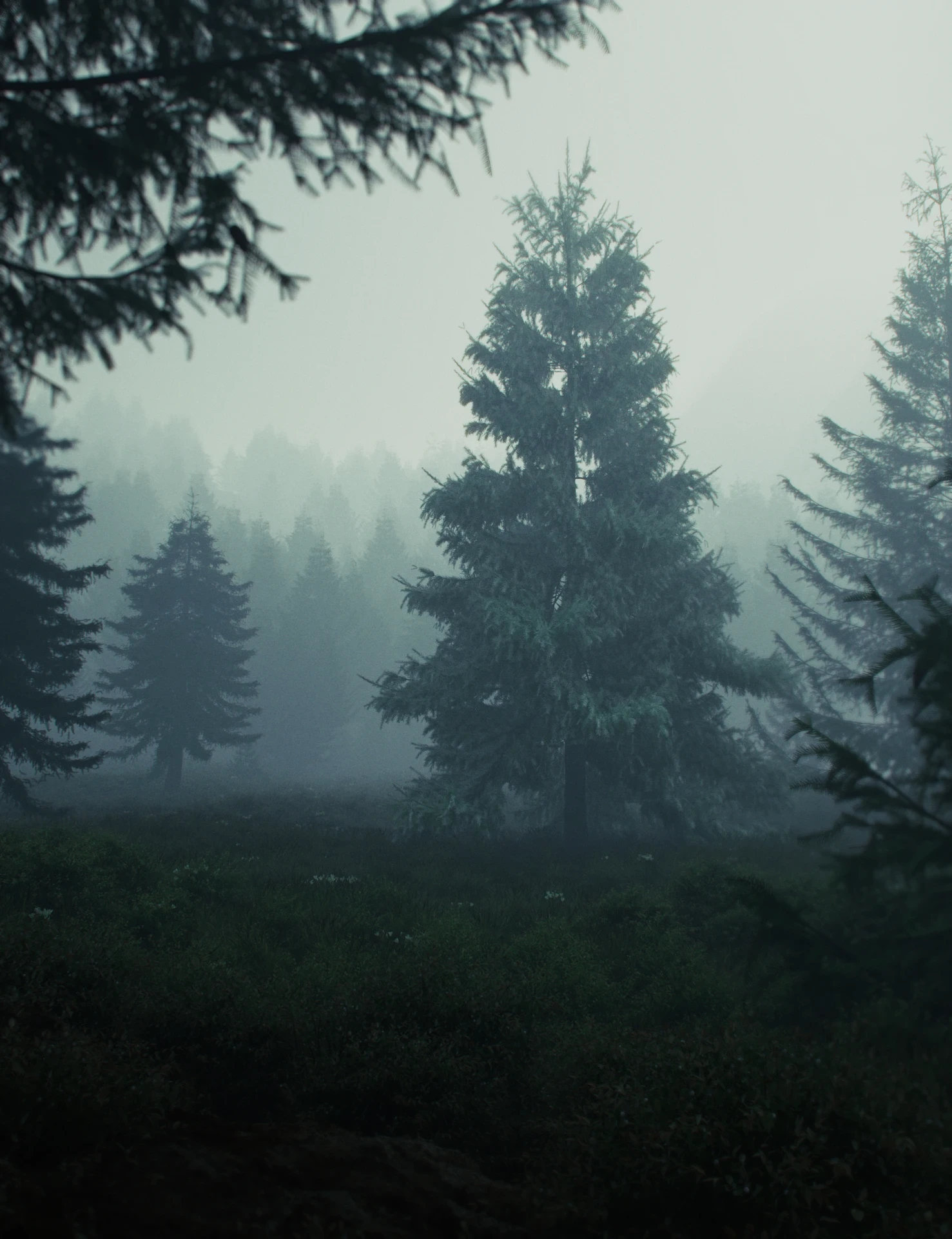 ArtStation - Foggy Forest - Sketch