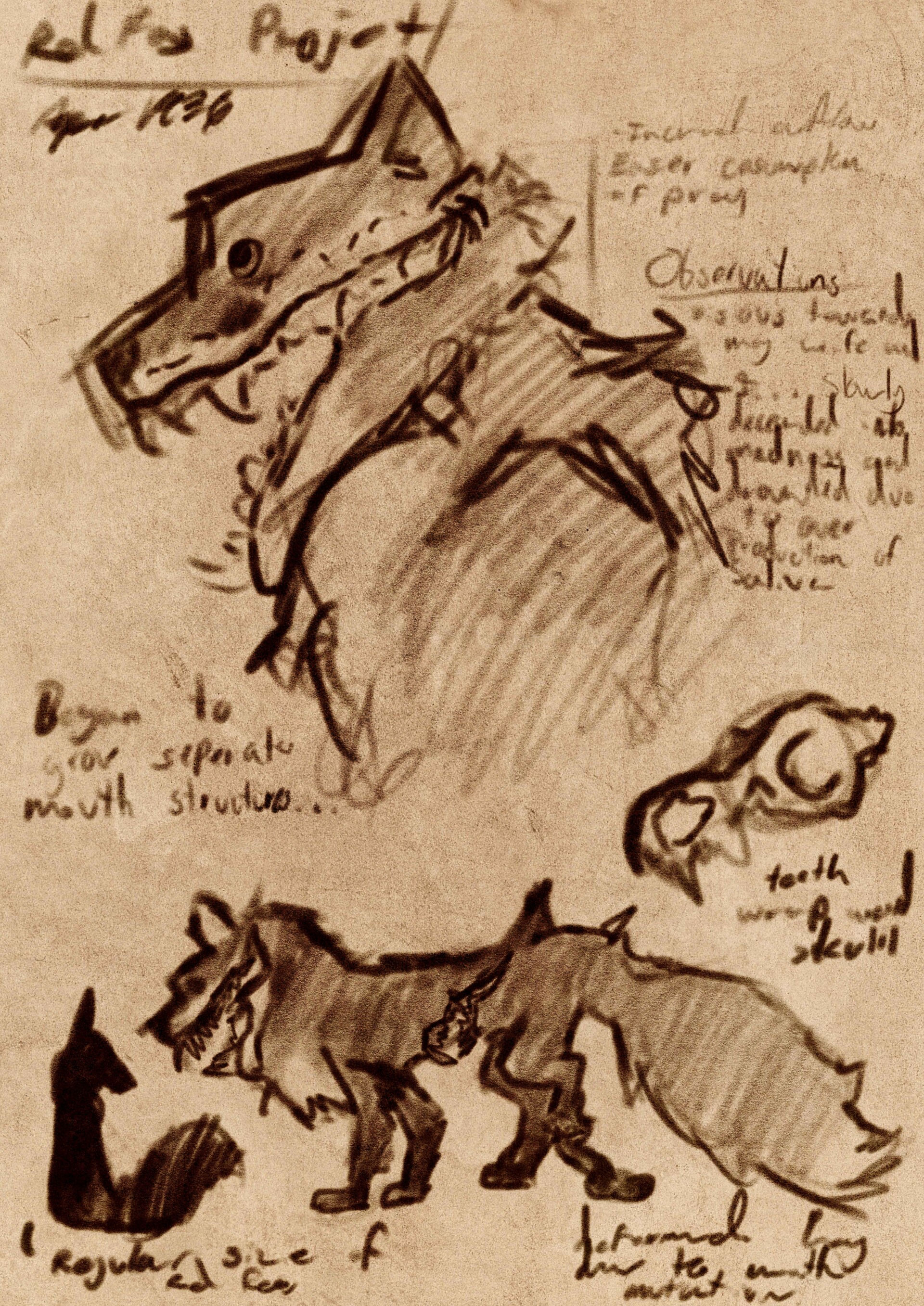 ArtStation - Science Sketches