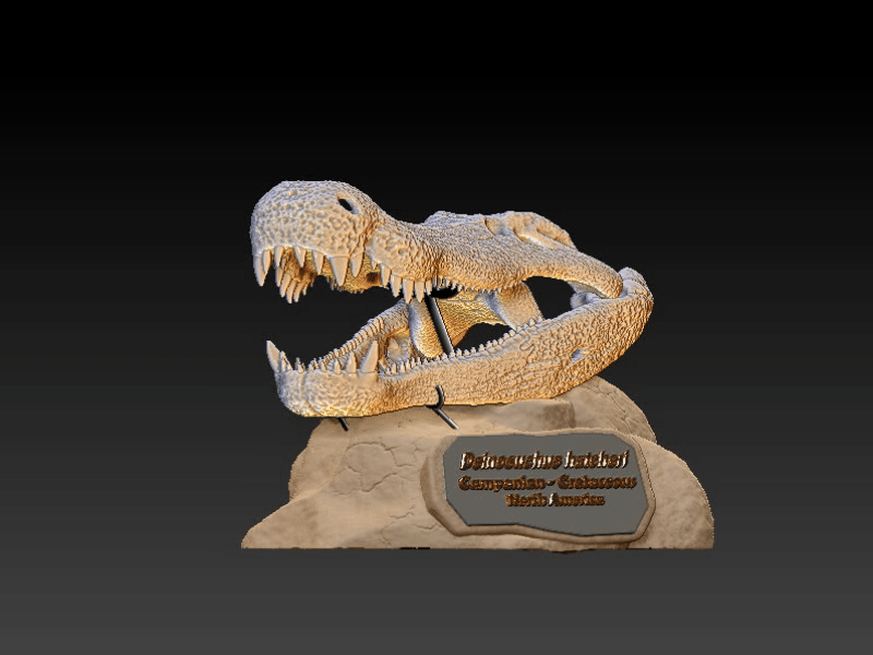 purussaurus skeleton