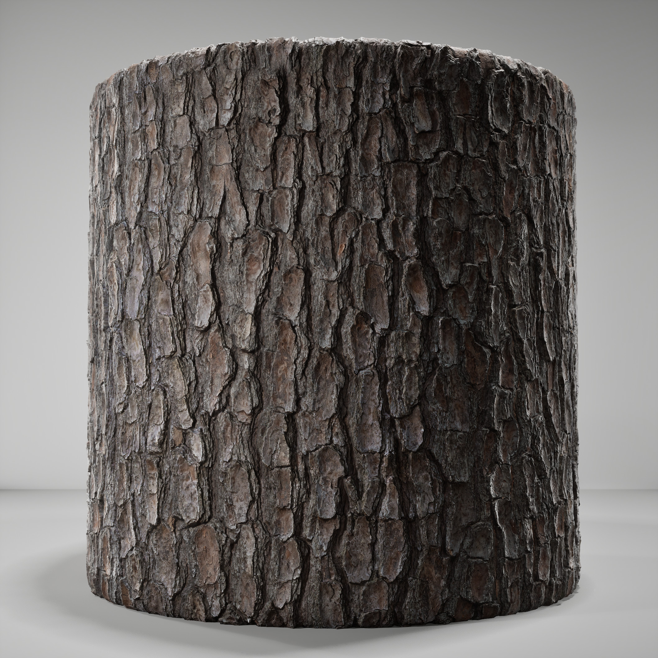 pine tree texture blender