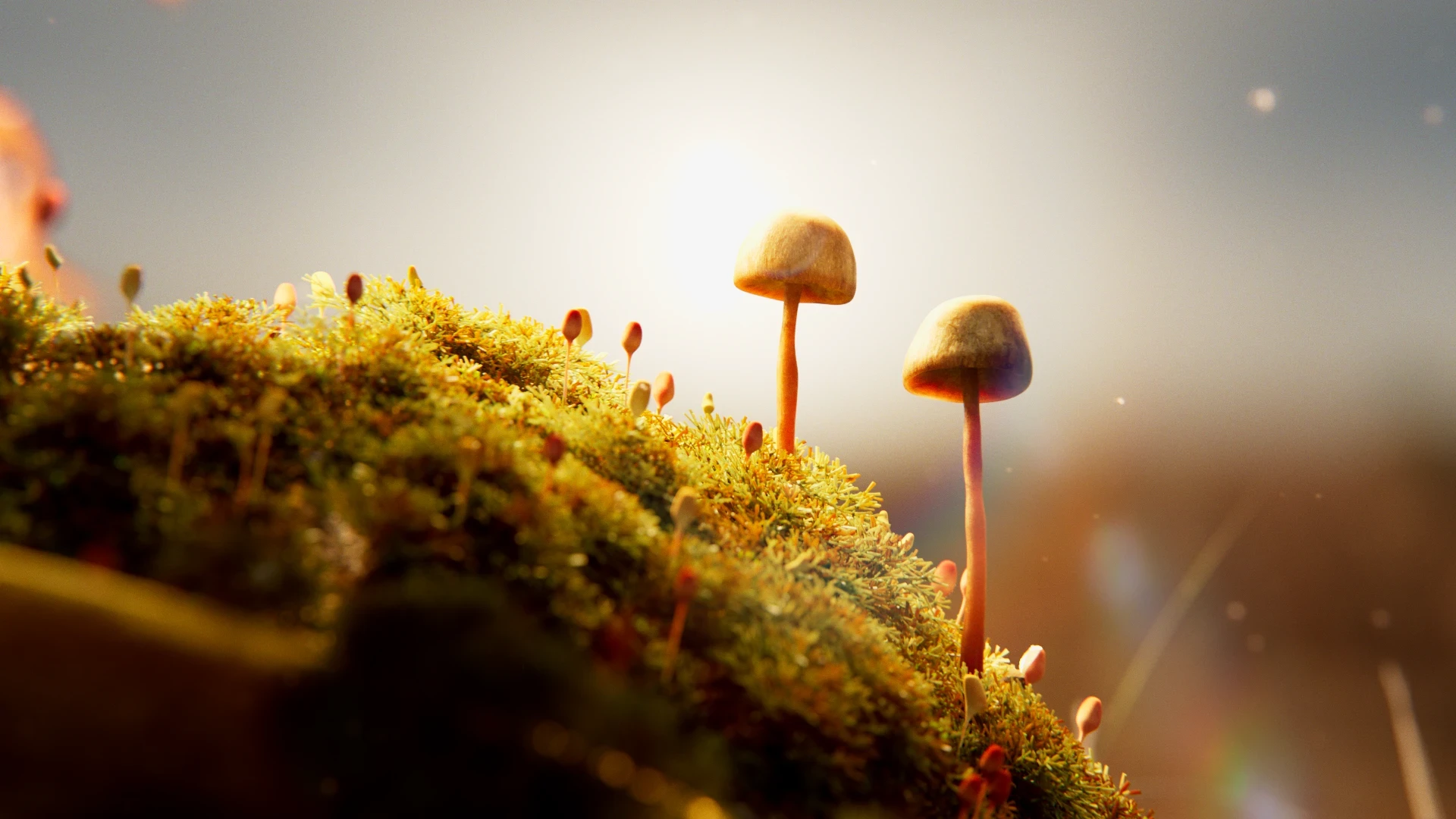 ArtStation - Mushroom Project